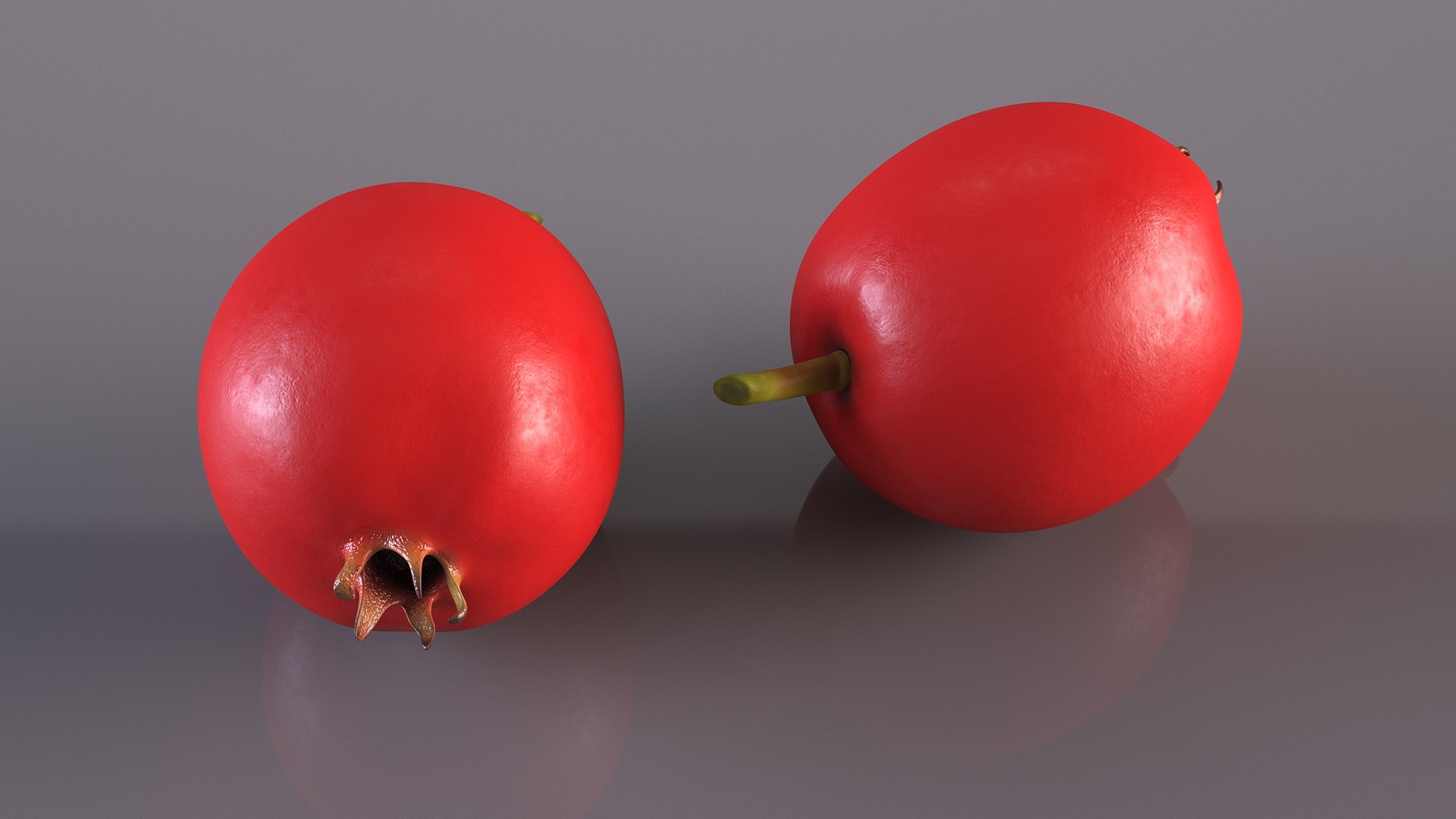 Hawthorn Berry Model - TurboSquid 2190284