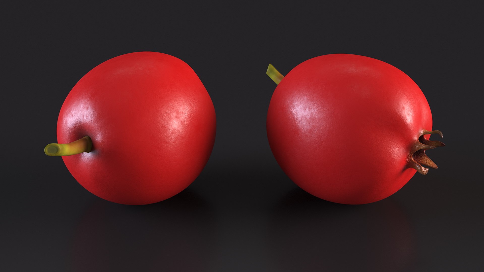 Hawthorn Berry Model - TurboSquid 2190284