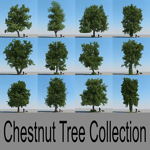 3d realistic linden lime trees