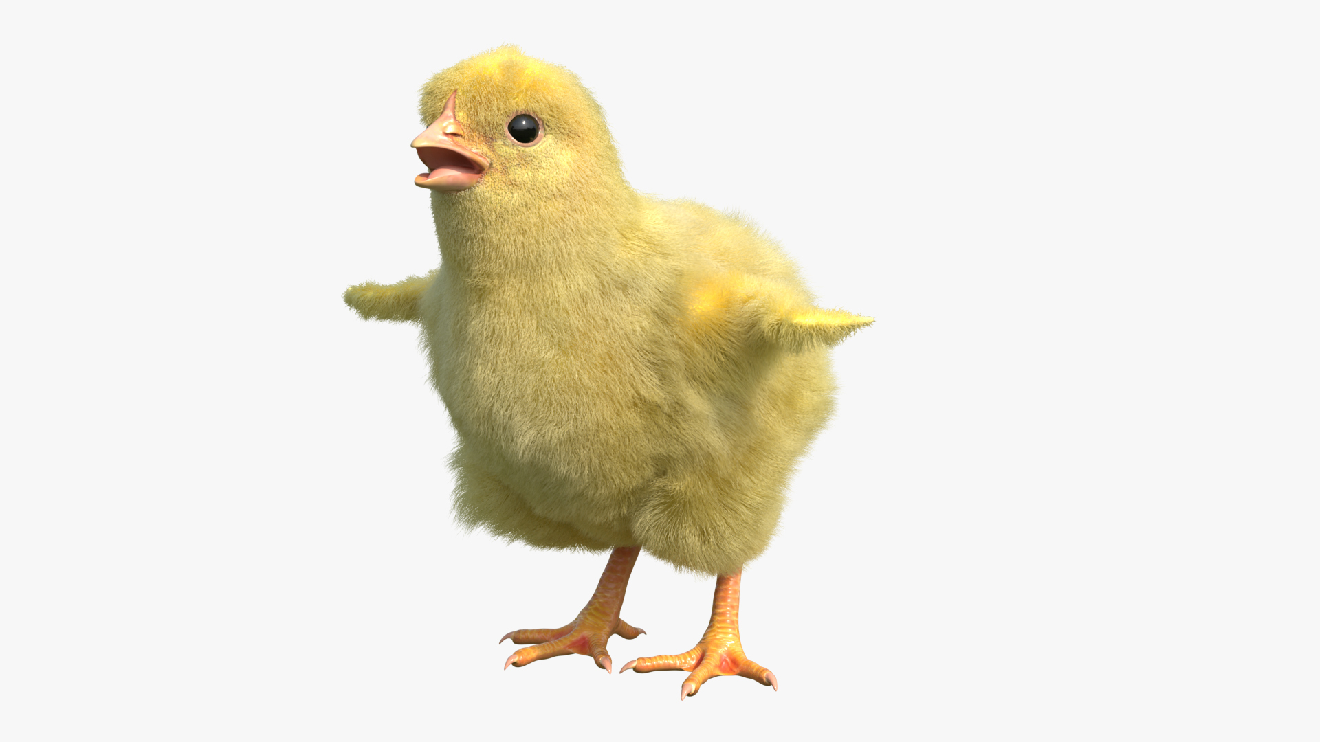 Baby Chick Fur Rigged For Blender Animated Set Model - TurboSquid 2517548