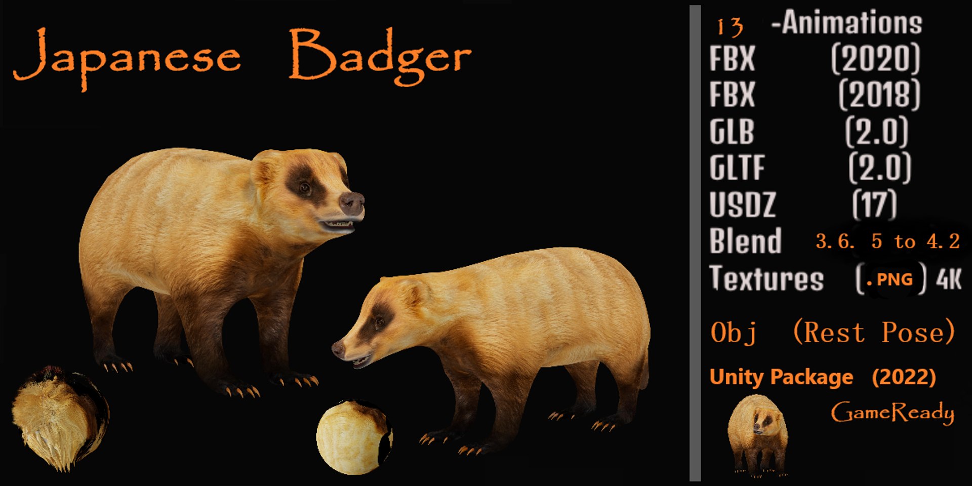 3D Japanese Badger - TurboSquid 2294060