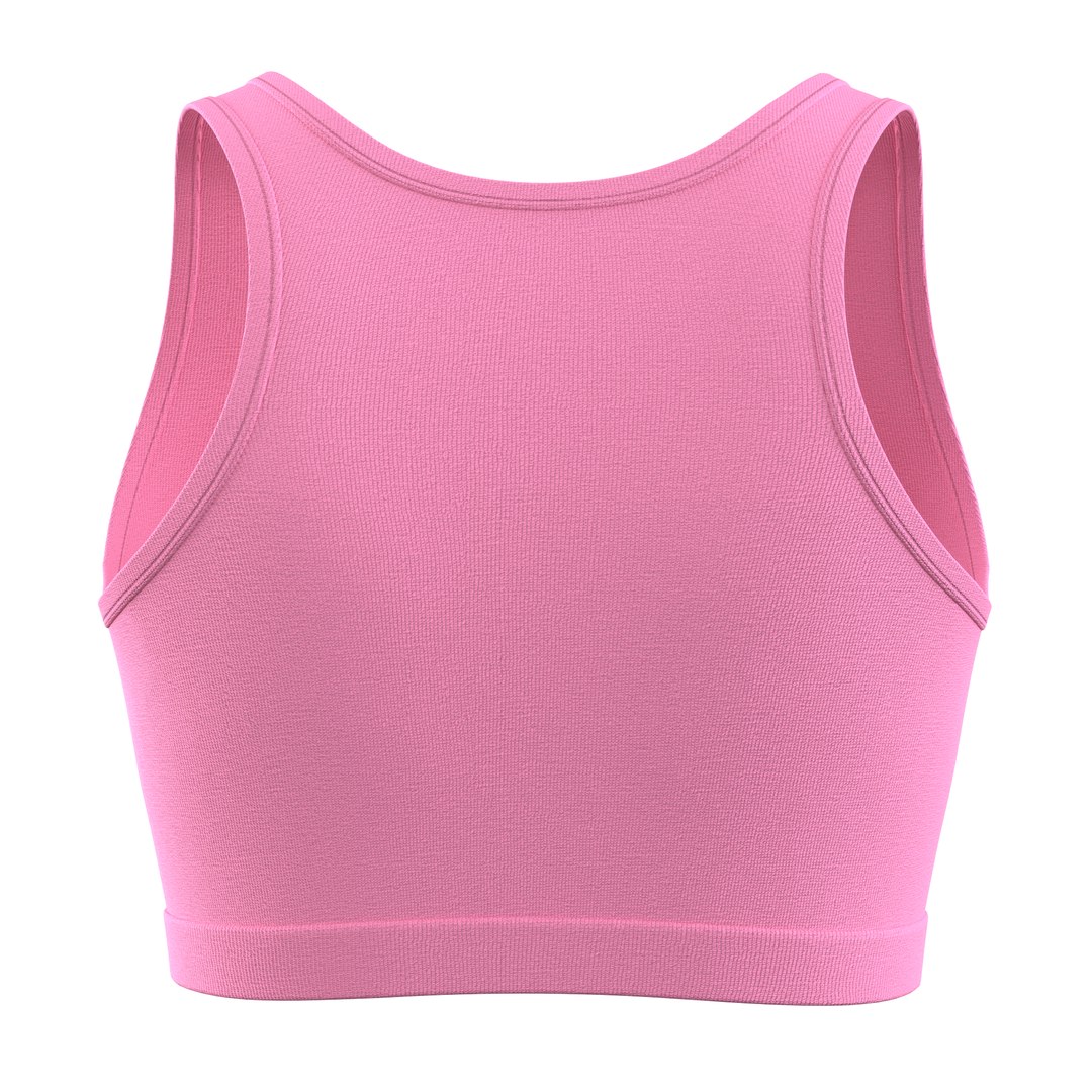 Classic Sporty Premium Bra Design 3d Model Turbosquid 1989785