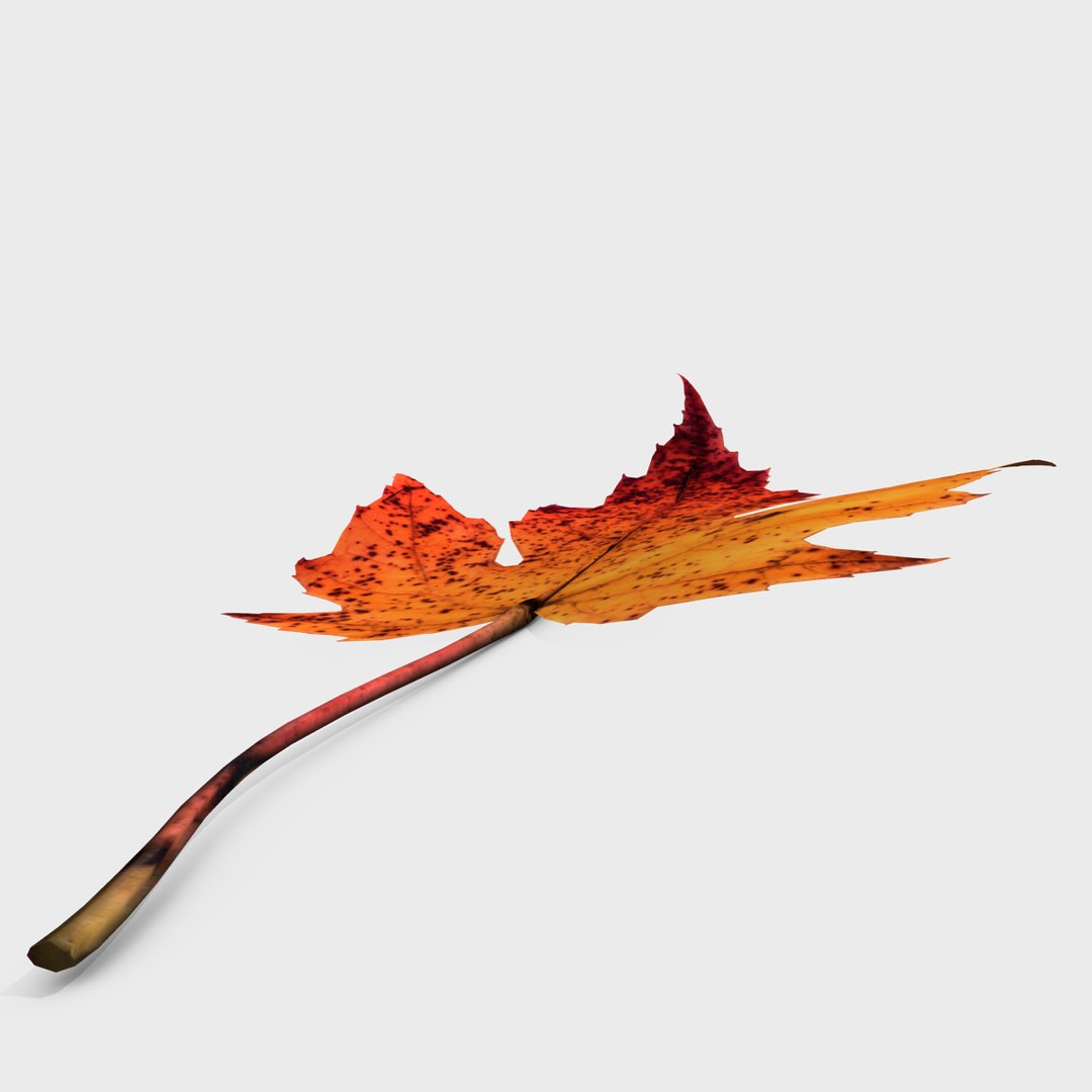 3ds Fall Leaf