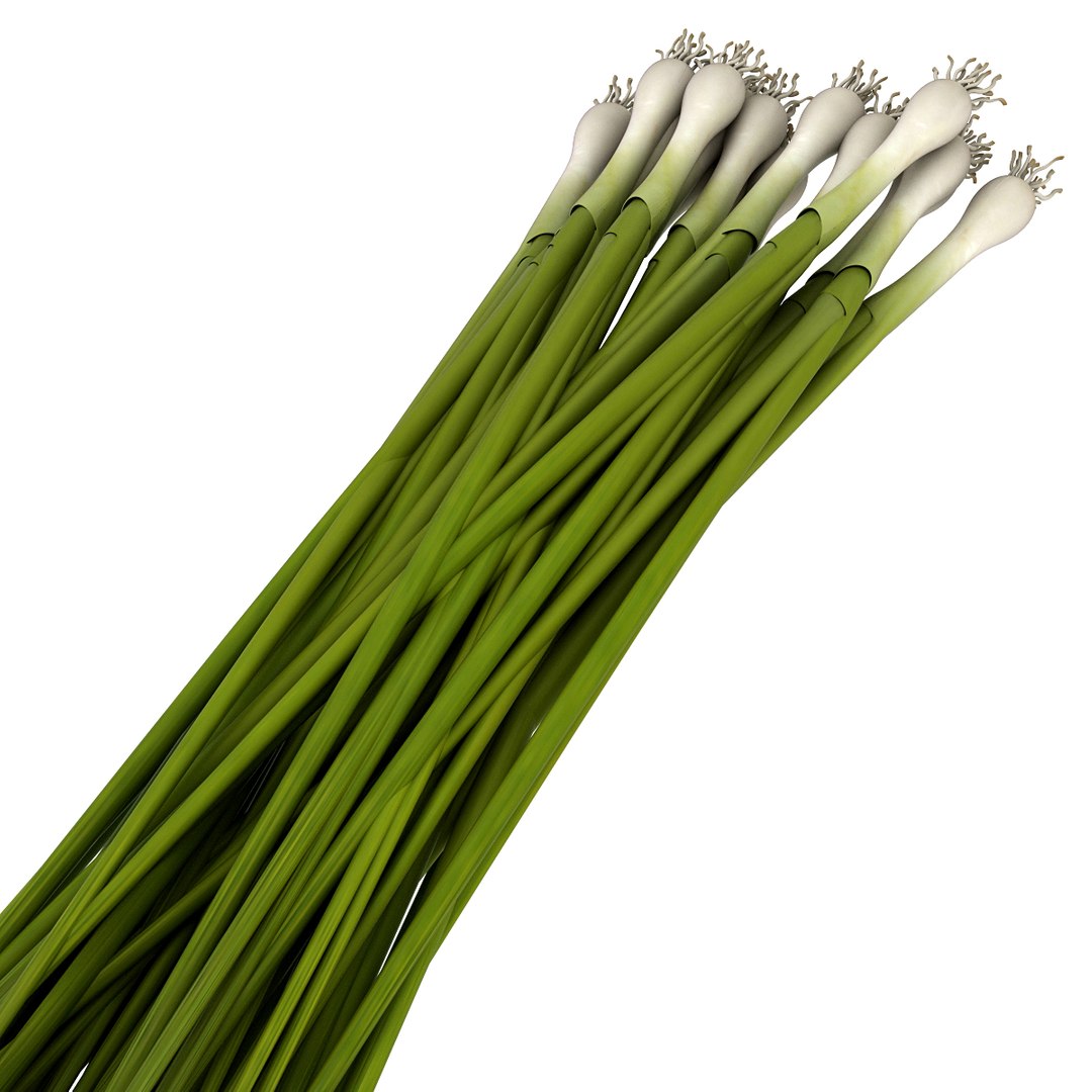 3d Scallion Vegetable Modeled Model
