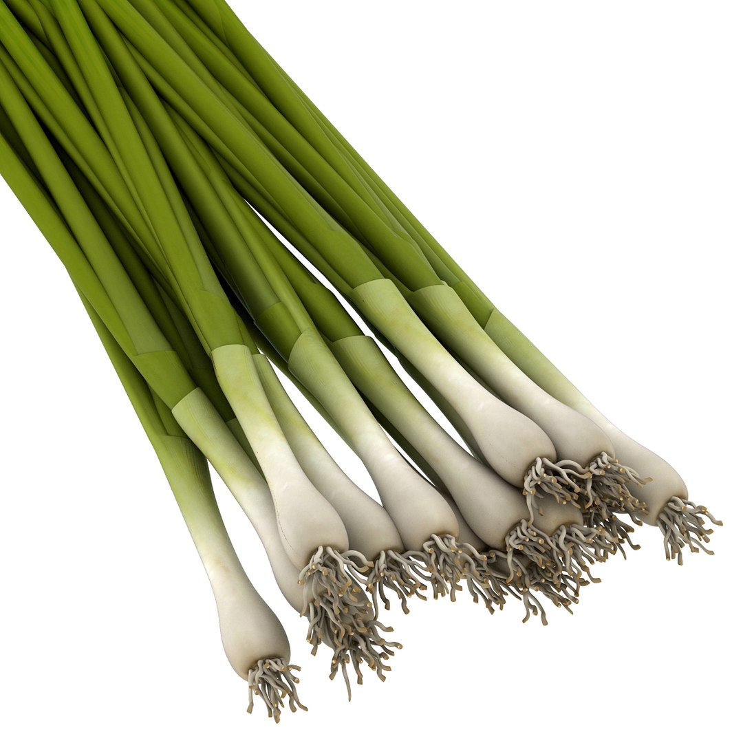 3d Scallion Vegetable Modeled Model
