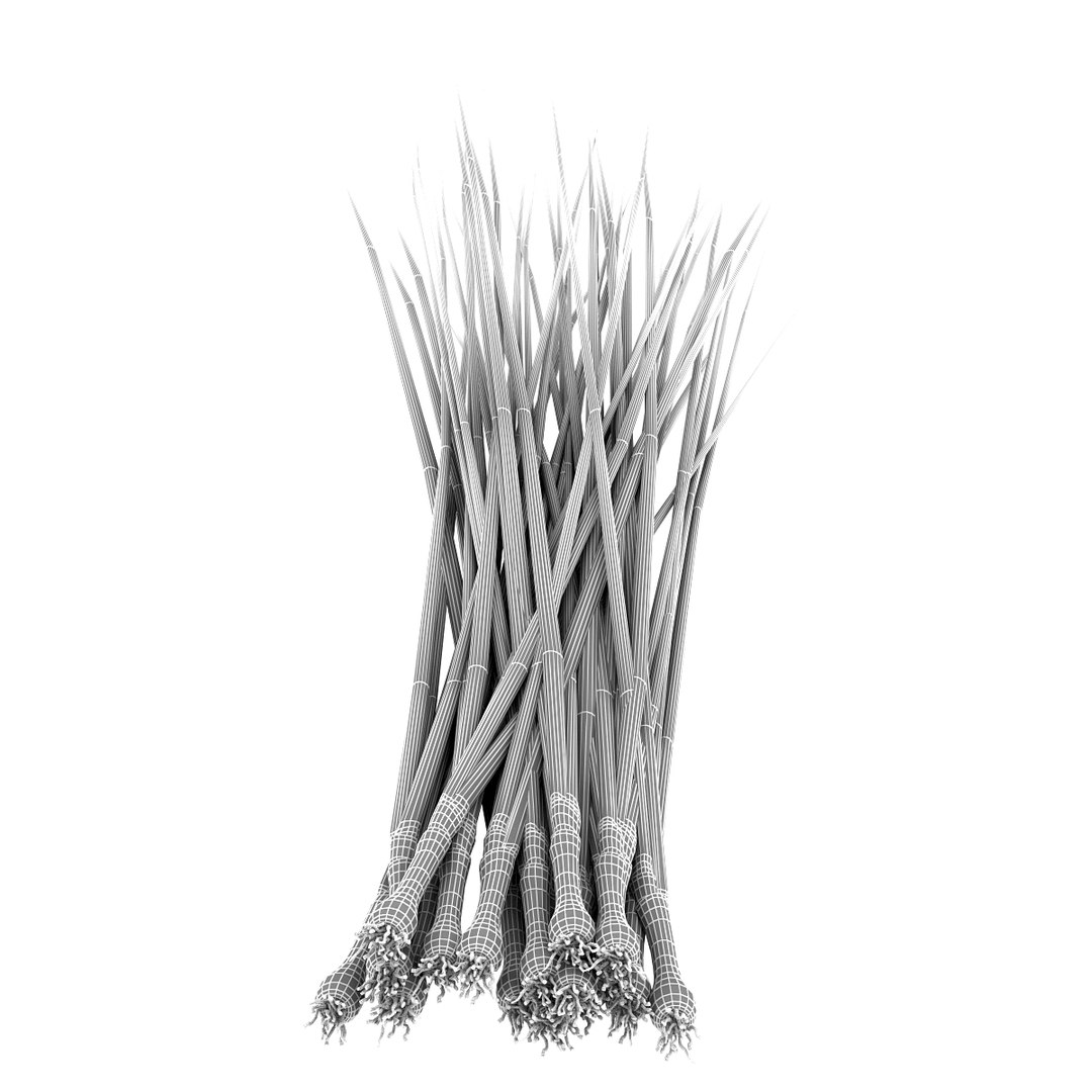 3d Scallion Vegetable Modeled Model