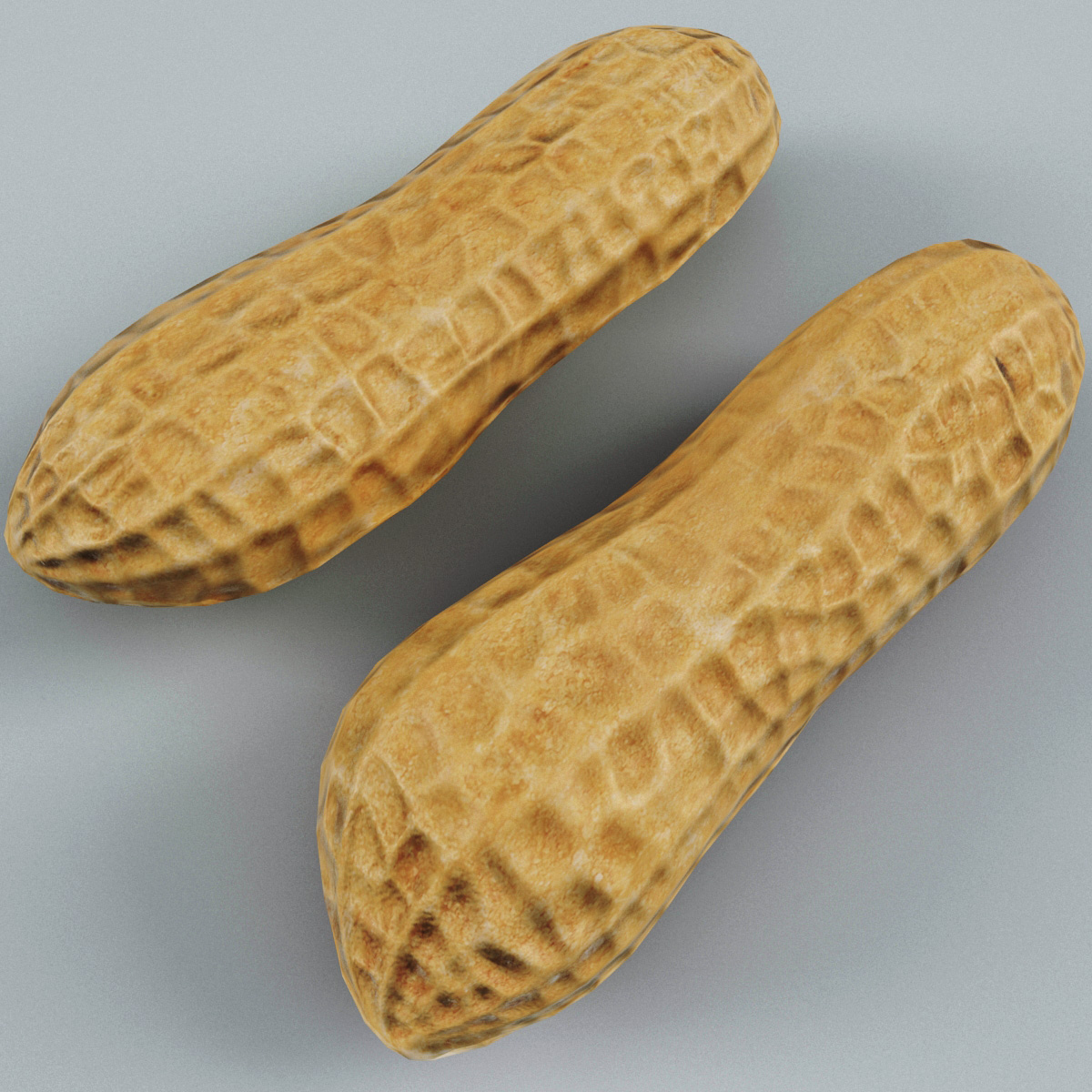 3d model peanut v1