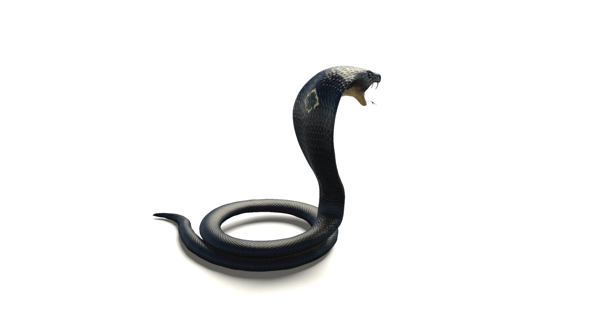 3D Model Venomous Snakes Reptiles Animals - TurboSquid 1655405