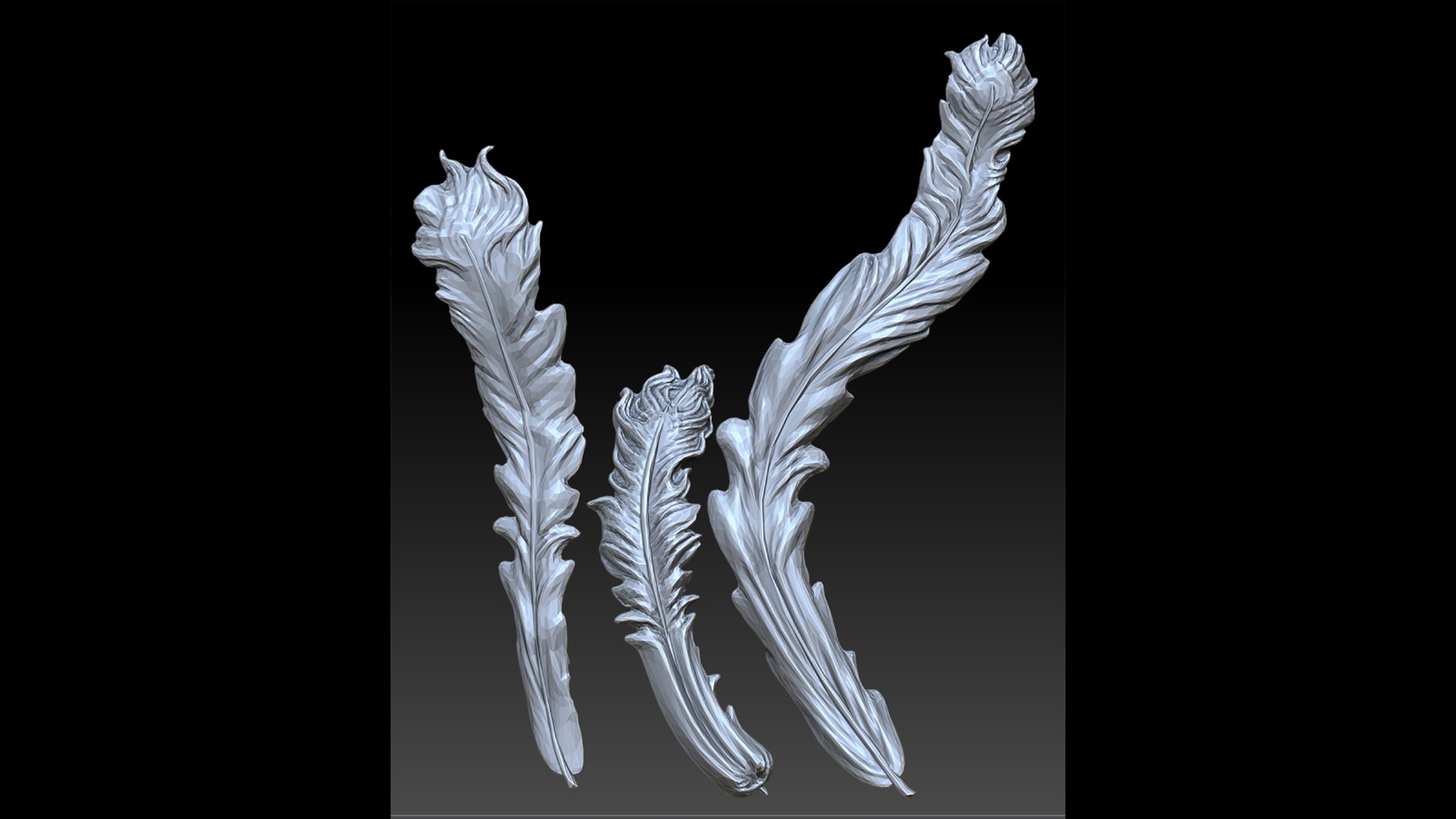 Feather Collection 3D Model - TurboSquid 2215442