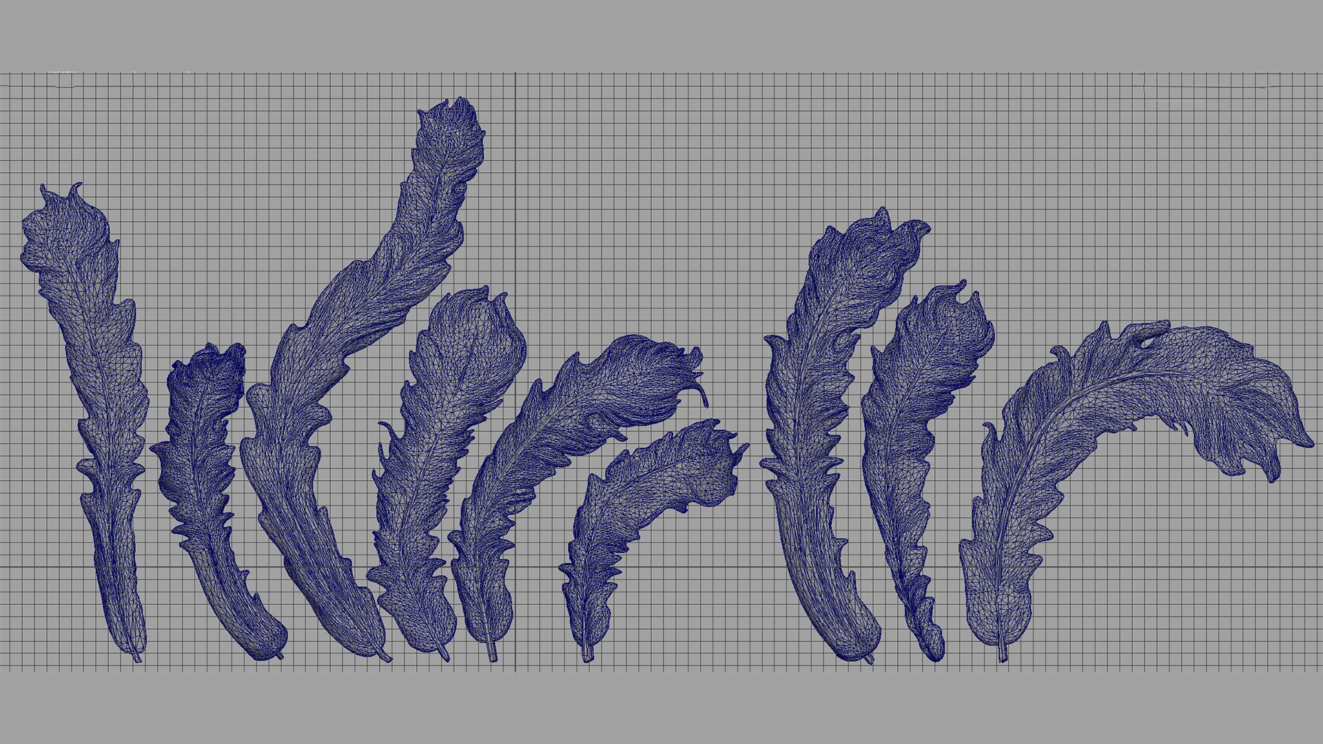 Feather Collection 3D Model - TurboSquid 2215442