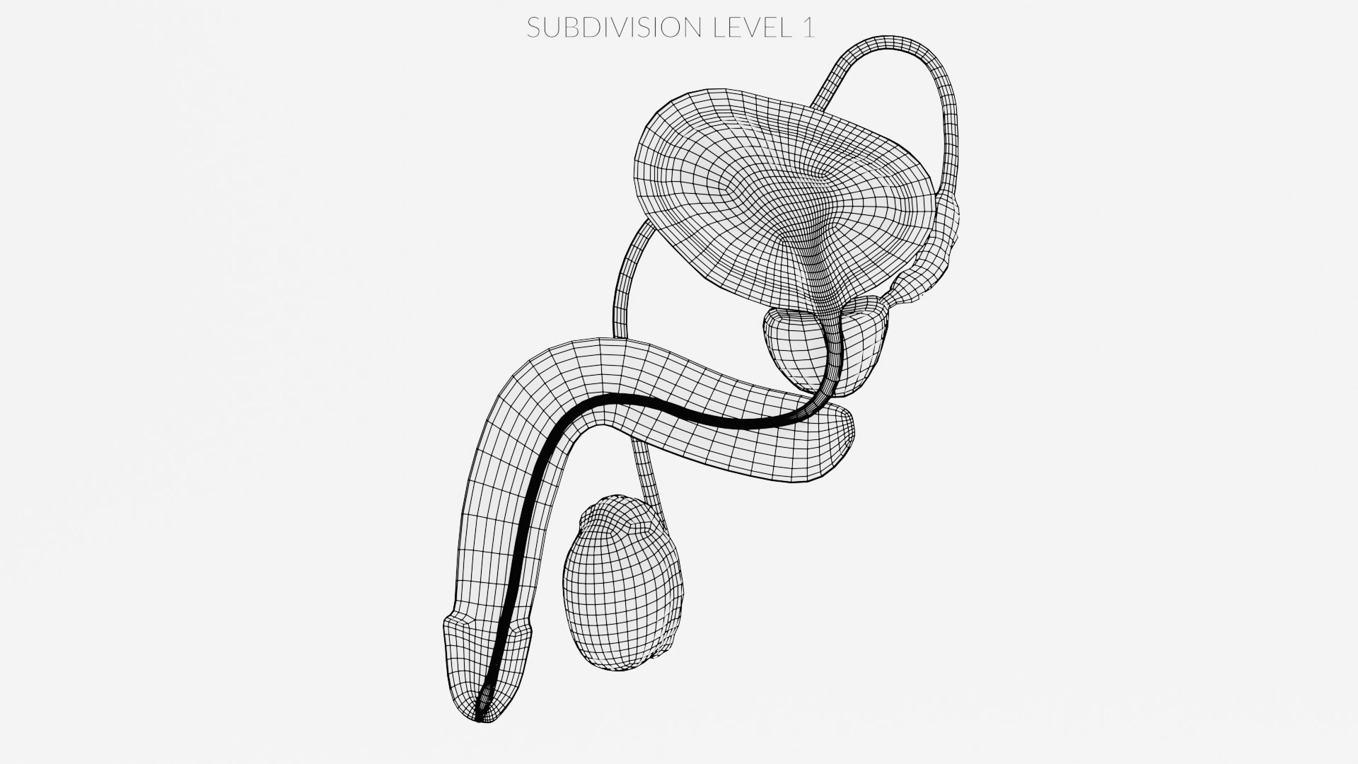 3D Male Reproductive System Section Model - TurboSquid 1782874