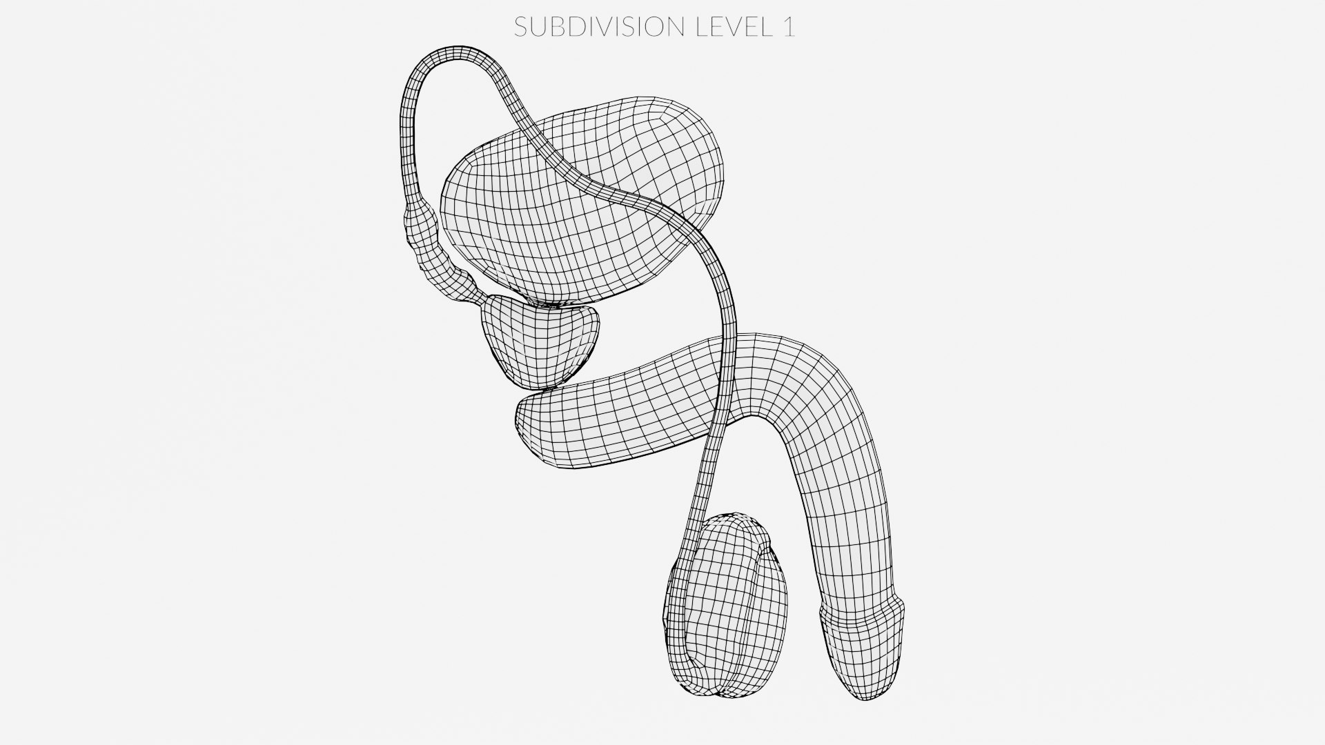 3D Male Reproductive System Section Model - TurboSquid 1782874