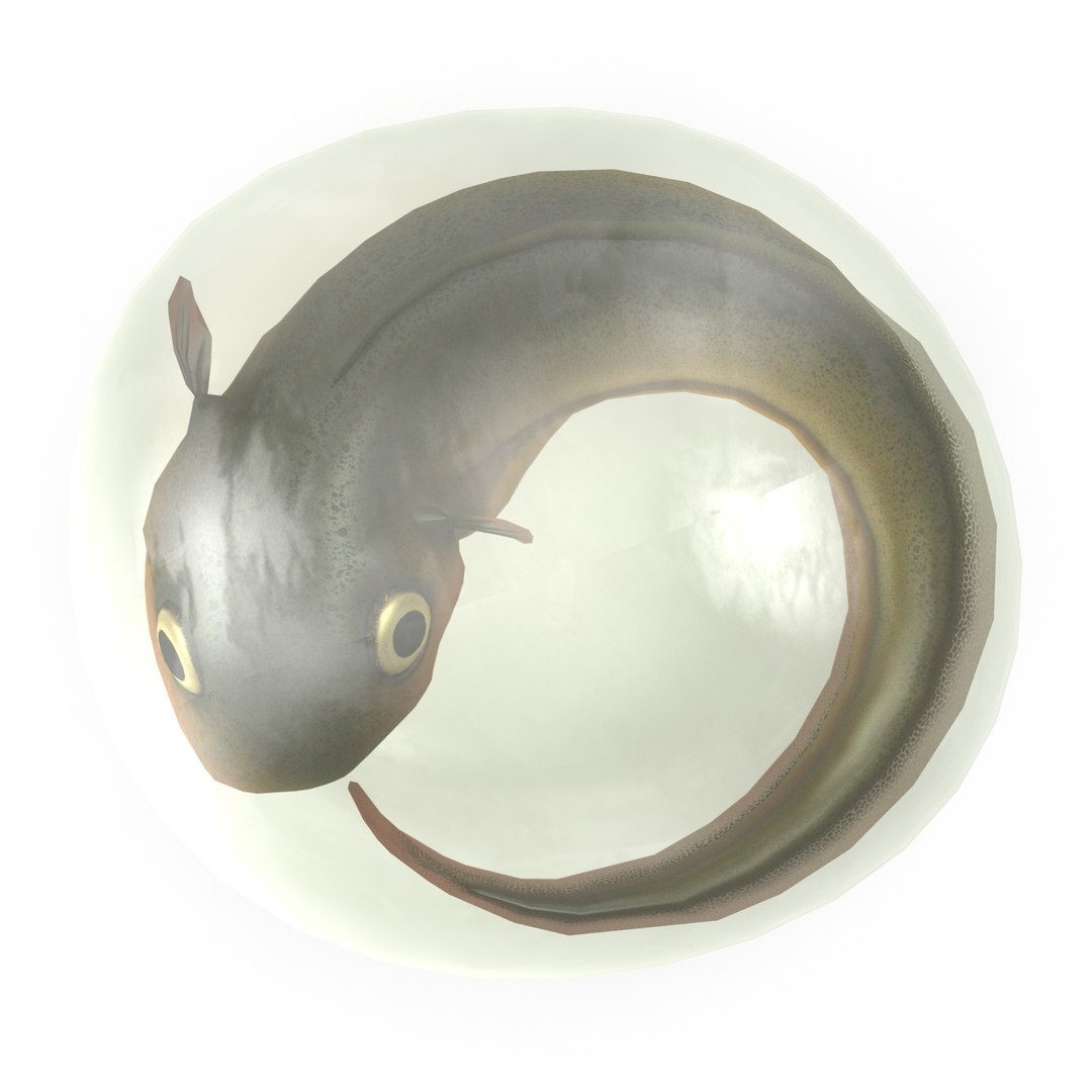 Fish larva 3D model - TurboSquid 1668292