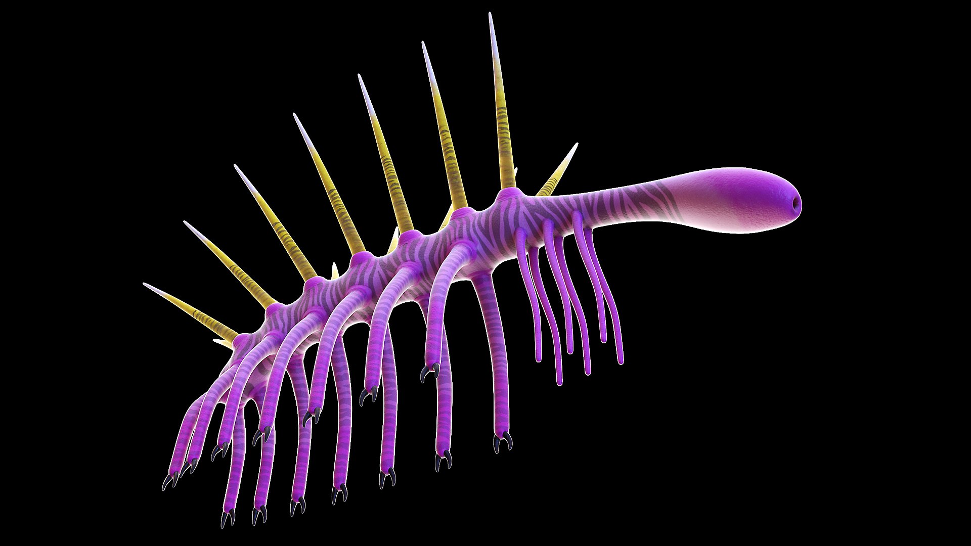 3D Hallucigenia Static - TurboSquid 1772492