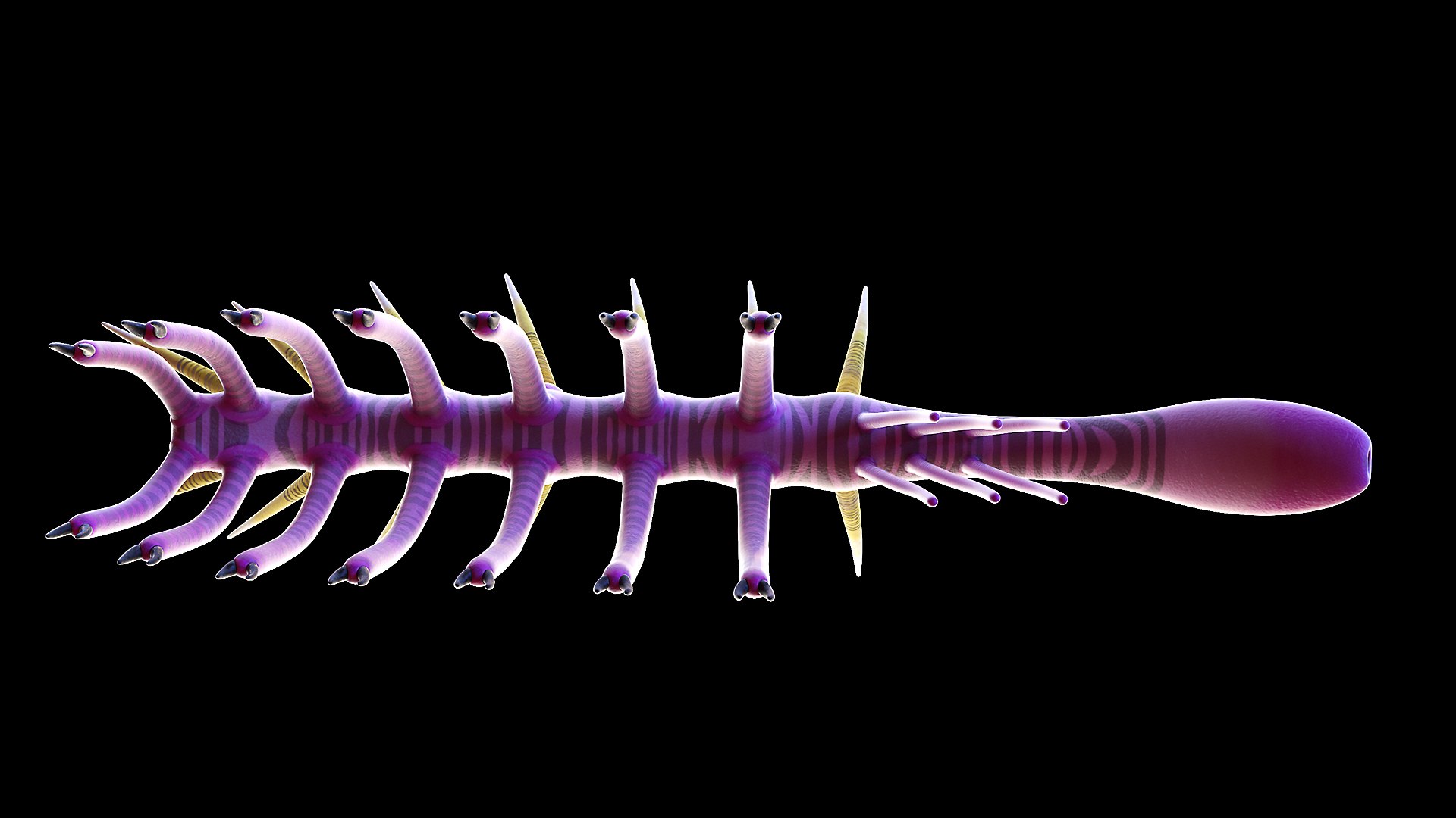 3D Hallucigenia Static - TurboSquid 1772492