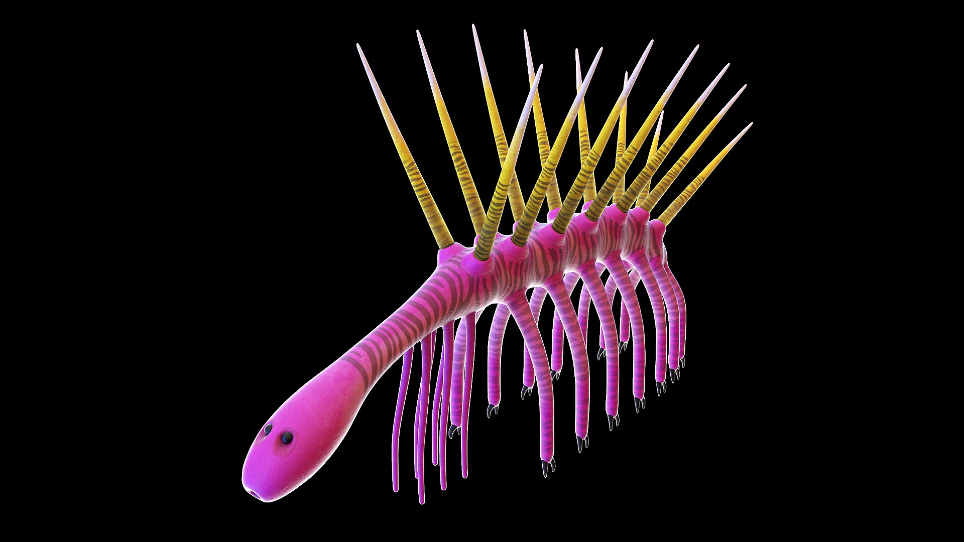 3D Hallucigenia Static - TurboSquid 1772492