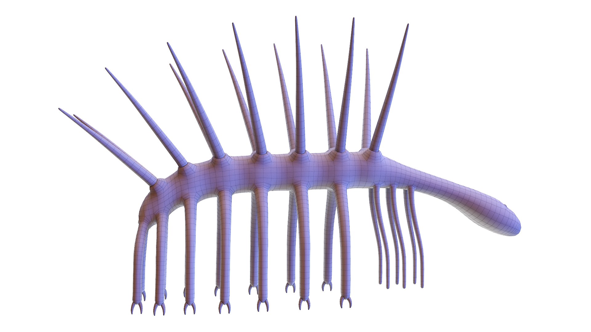 3D Hallucigenia Static - TurboSquid 1772492