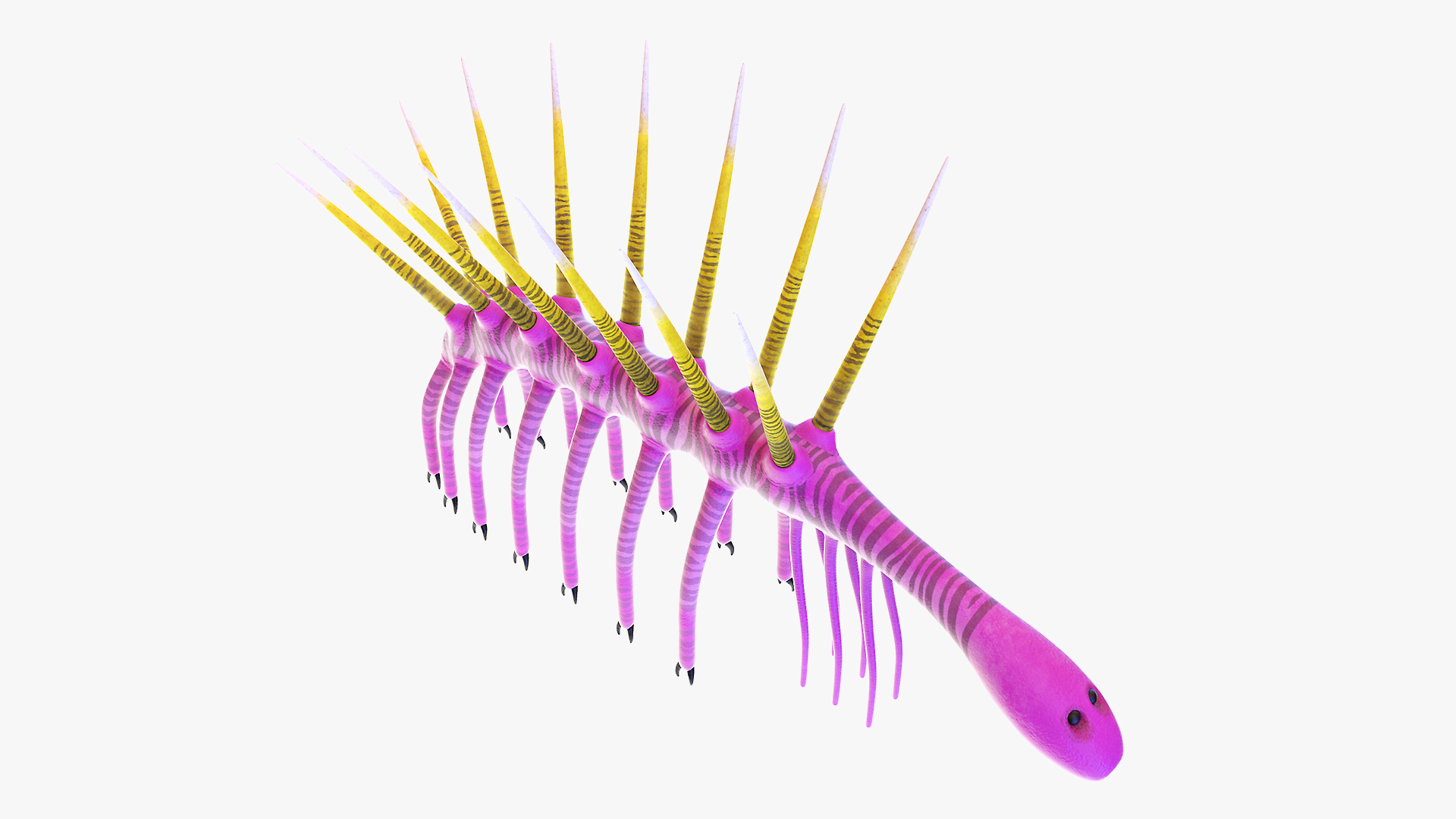 3D Hallucigenia Static - TurboSquid 1772492