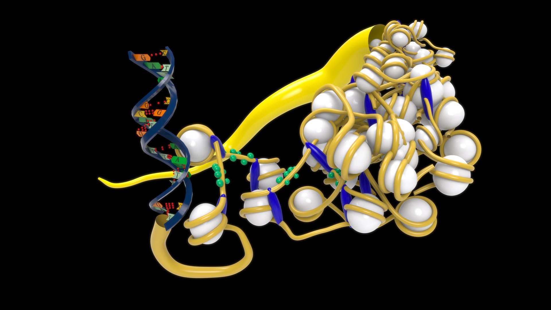 3D Model Chromatin With DNA Helix - TurboSquid 2210566