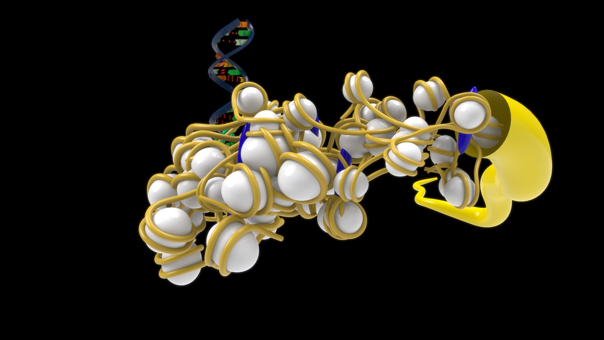 3D Model Chromatin With DNA Helix - TurboSquid 2210566