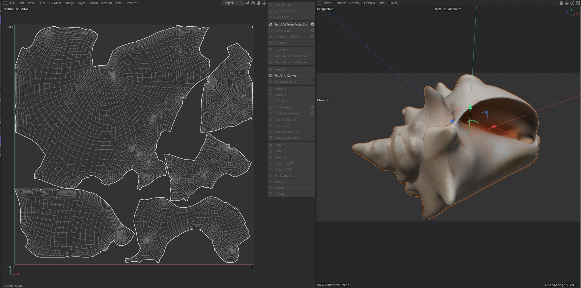 3D Conch Shell V3 Model - TurboSquid 2370728