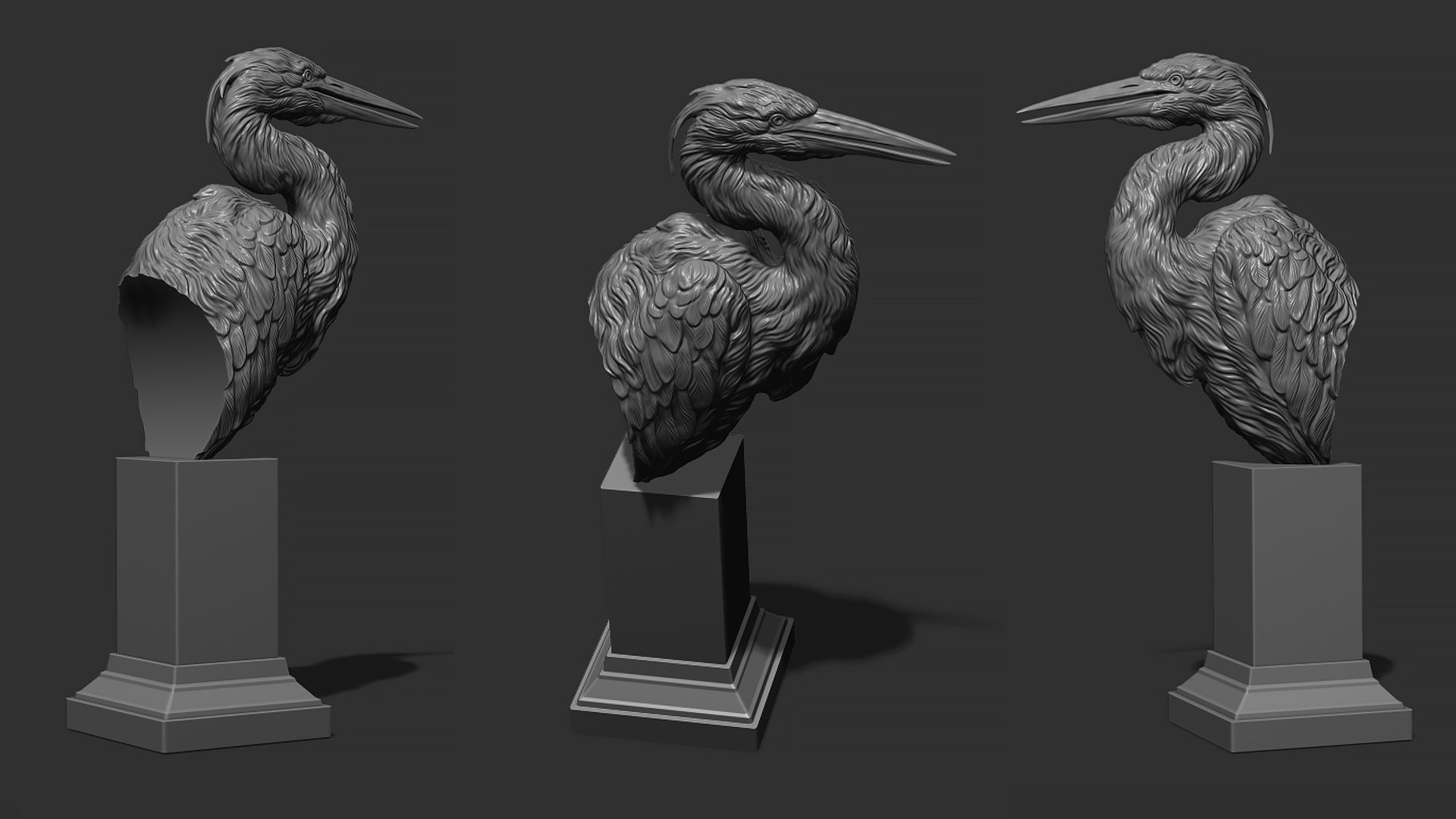 3D Grey Heron Bust Model - TurboSquid 2032785