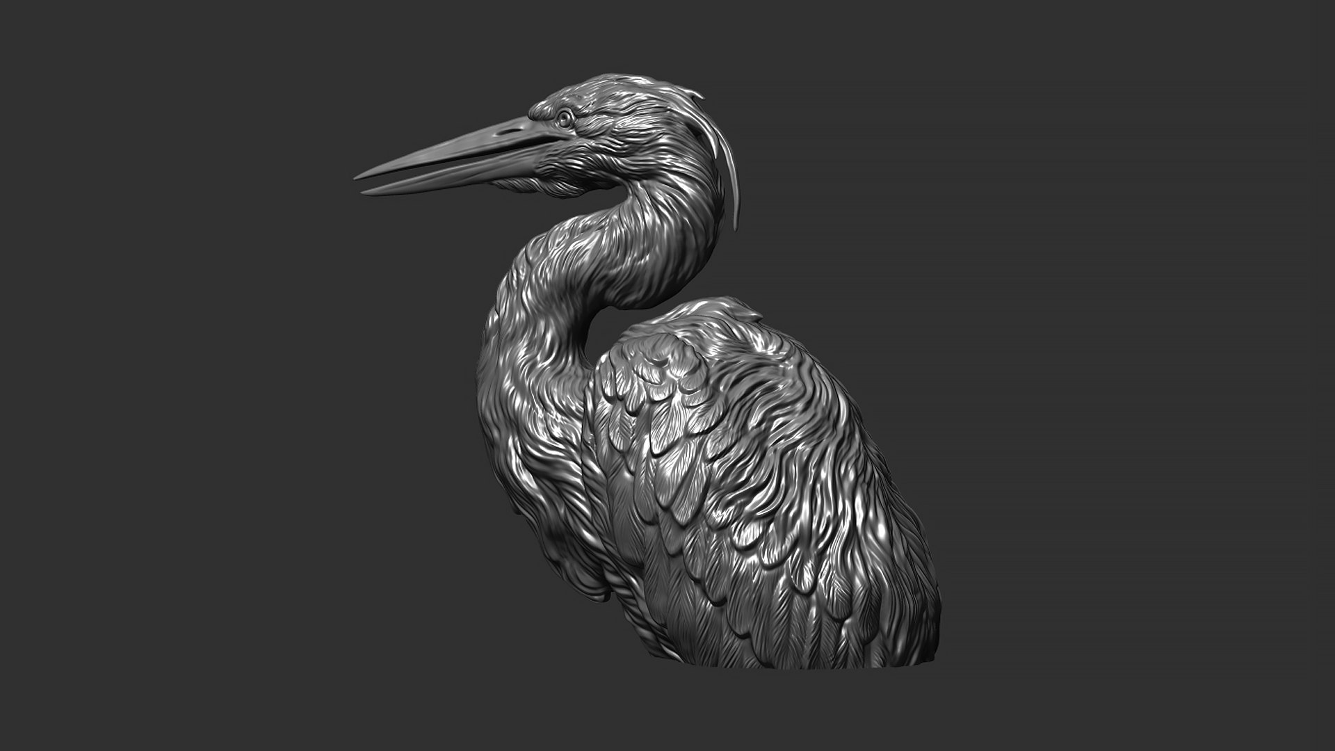 3D Grey Heron Bust Model - TurboSquid 2032785