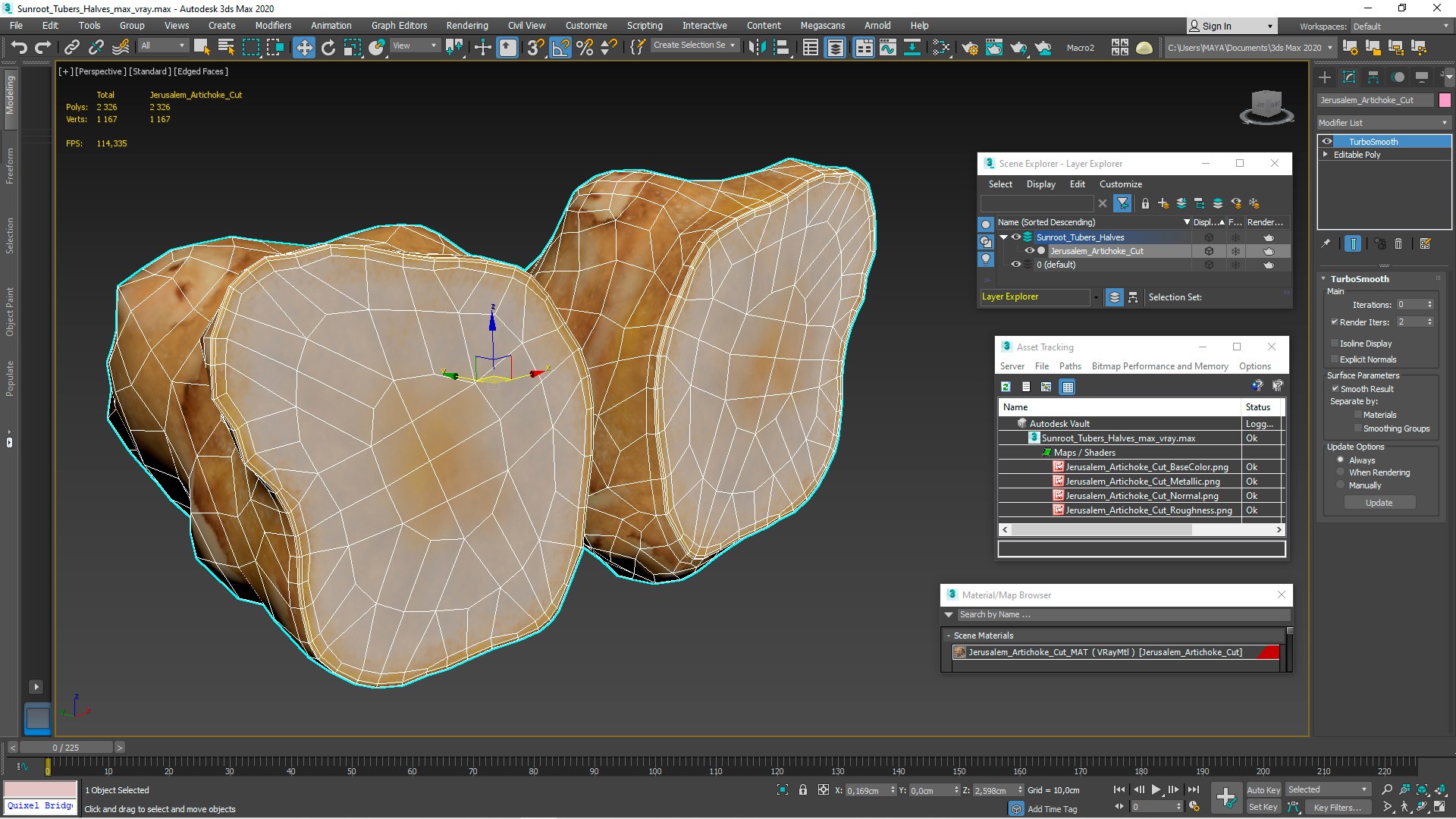Sunroot Tubers Halves 3D Model - TurboSquid 2321655