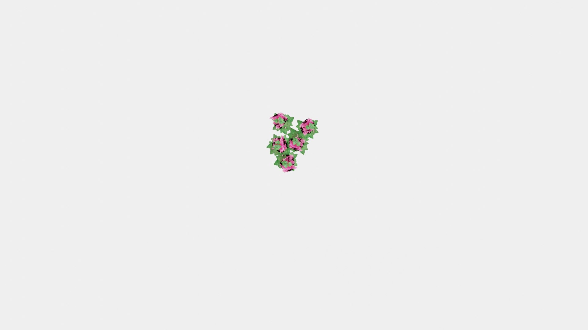 3D Model Alcea Rosea Chaters Double Pink Stokkrose - TurboSquid 2249103
