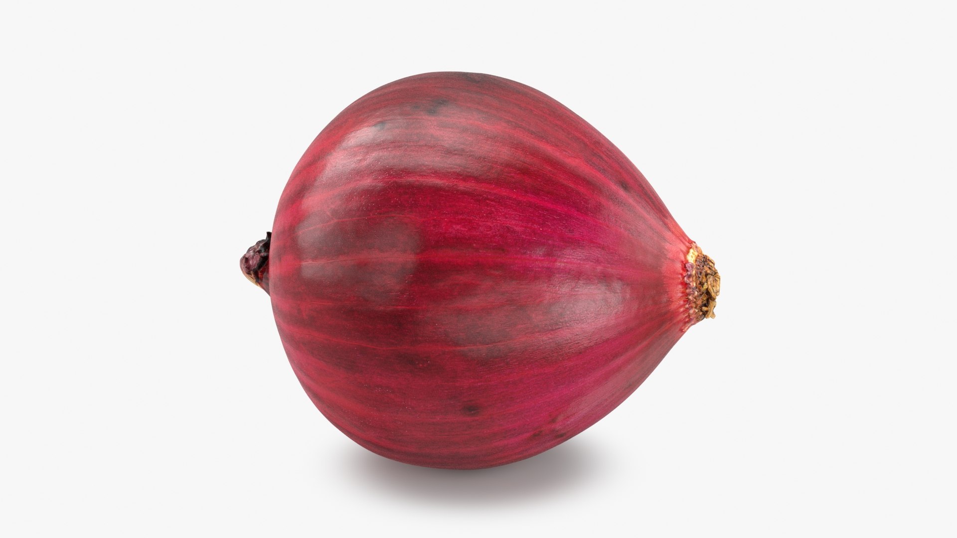 3D Red Onion 1 - TurboSquid 2133151
