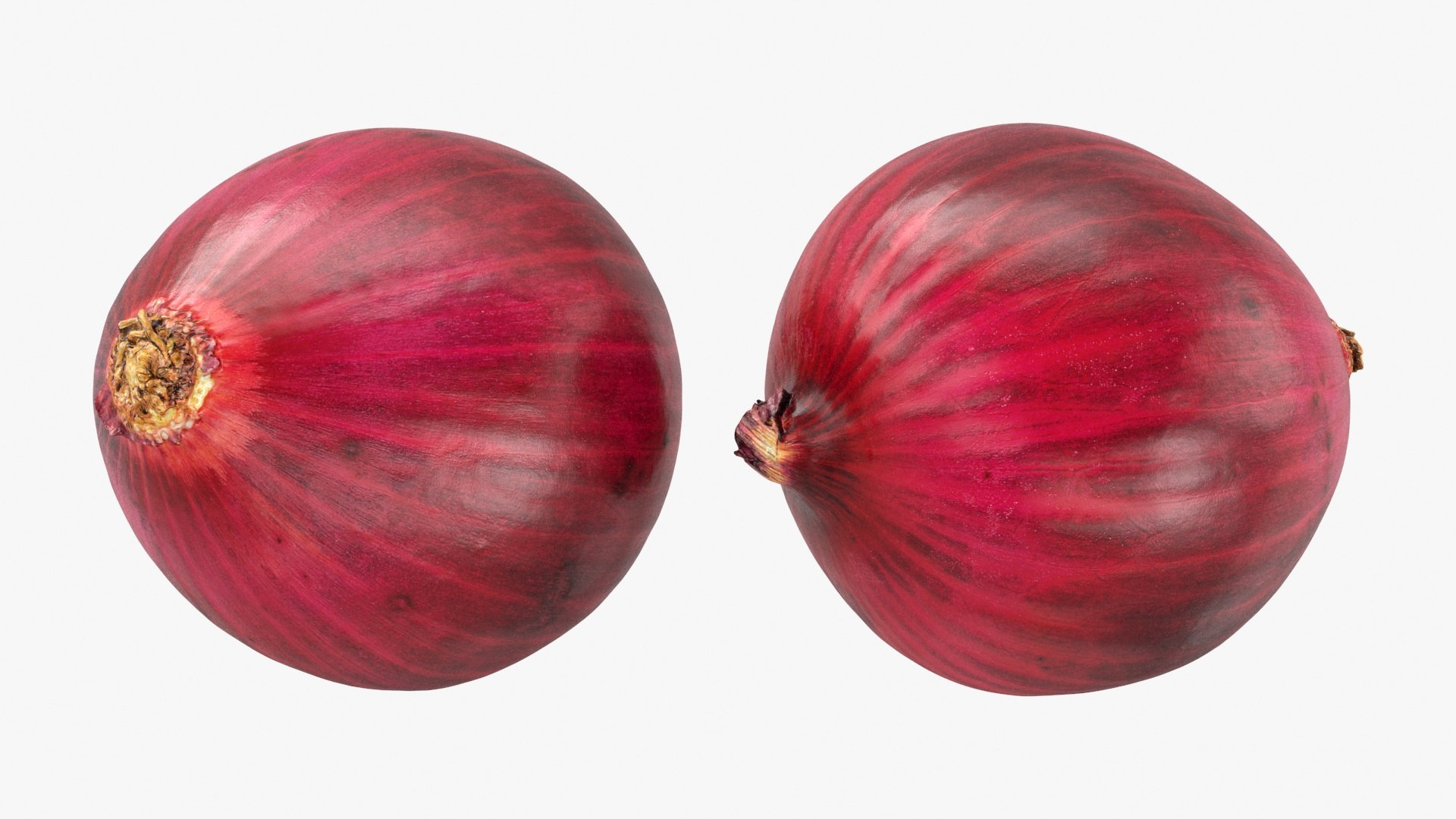 3D Red Onion 1 - TurboSquid 2133151