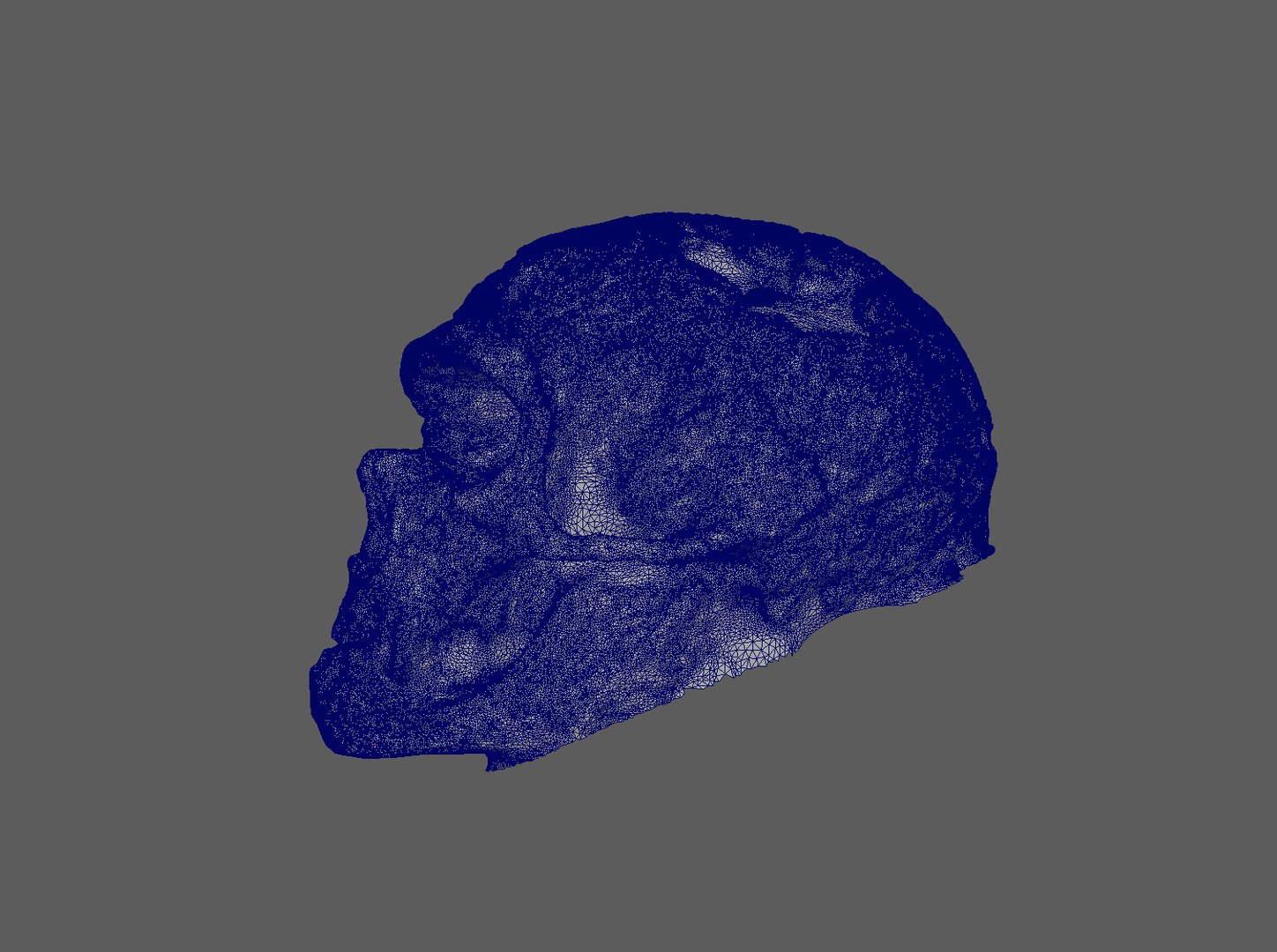 3D Scan Neanderthal Skull Model - TurboSquid 1260639