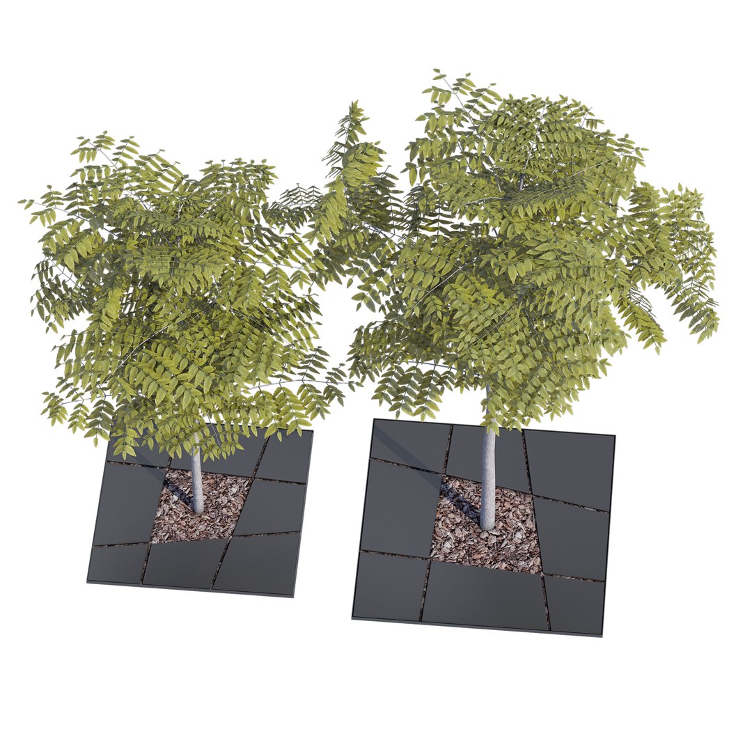 Croso Mosa Grille 3D Model - TurboSquid 1964548