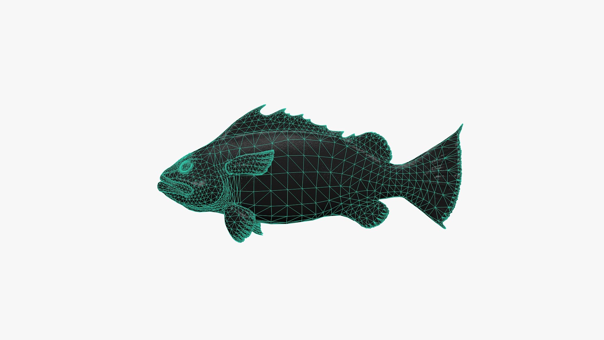 Cod Fish Model - TurboSquid 1839115