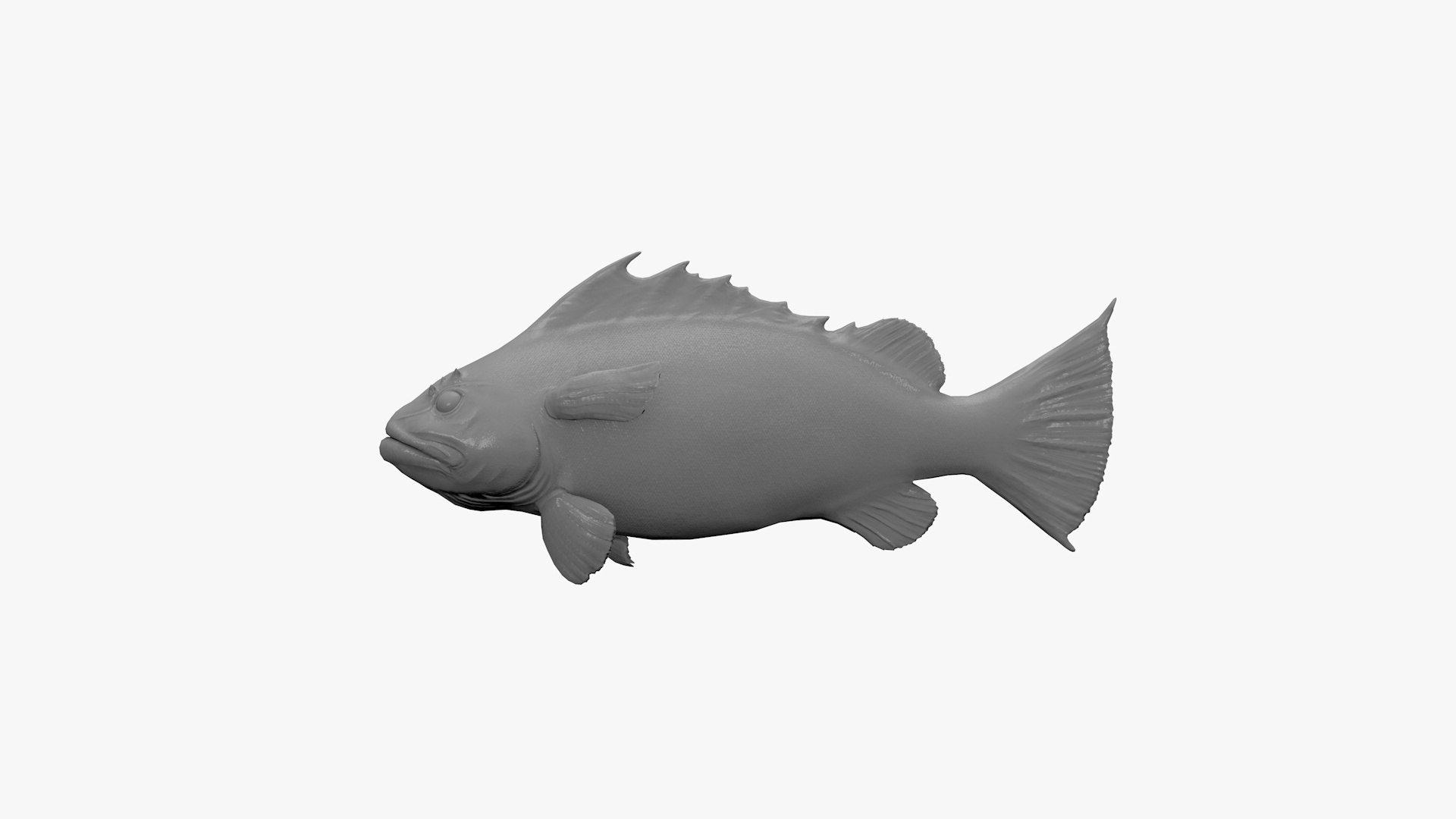Cod Fish Model - TurboSquid 1839115