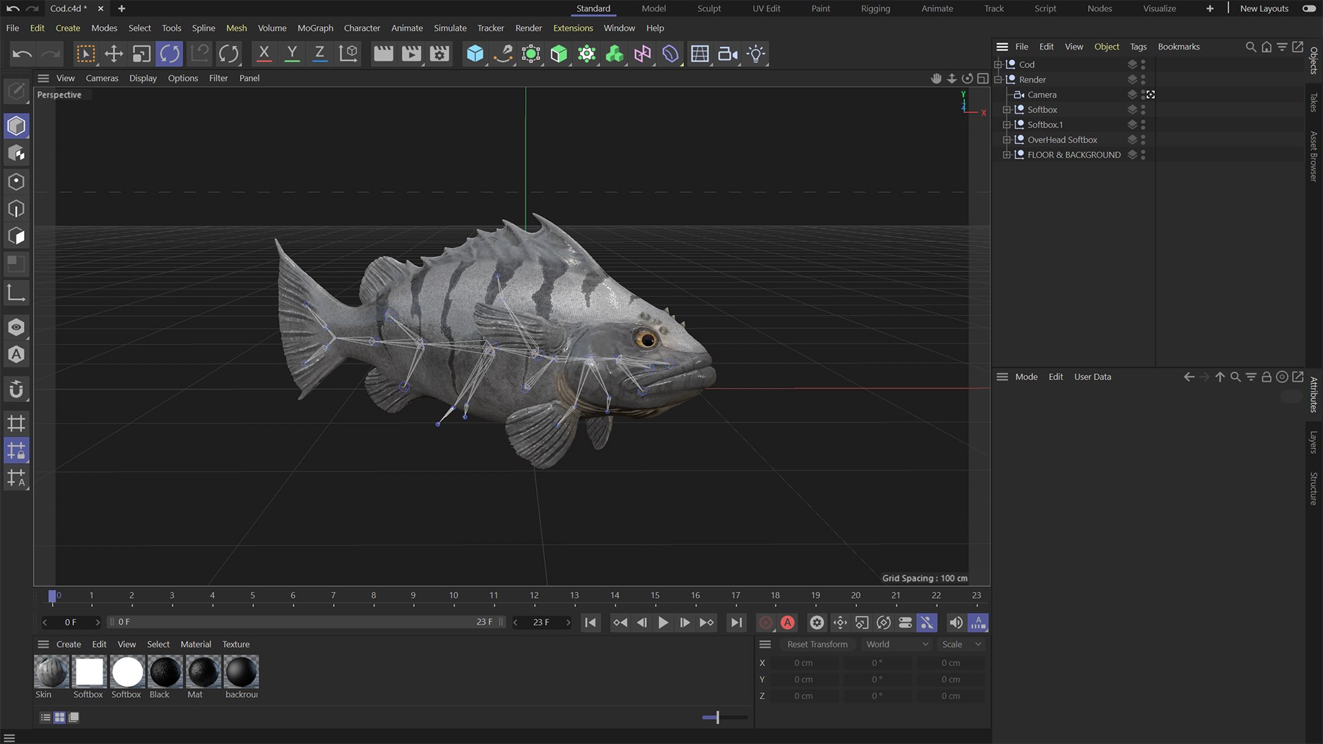 Cod Fish Model - TurboSquid 1839115