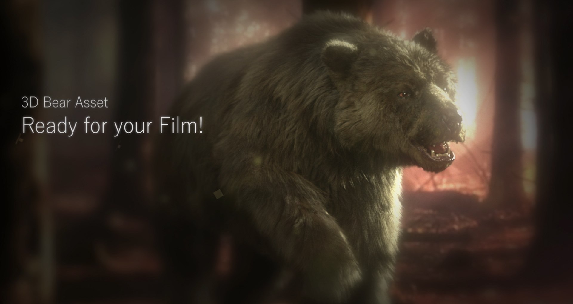 Bear Skin Rigged Houdini 3D Model - TurboSquid 1734452