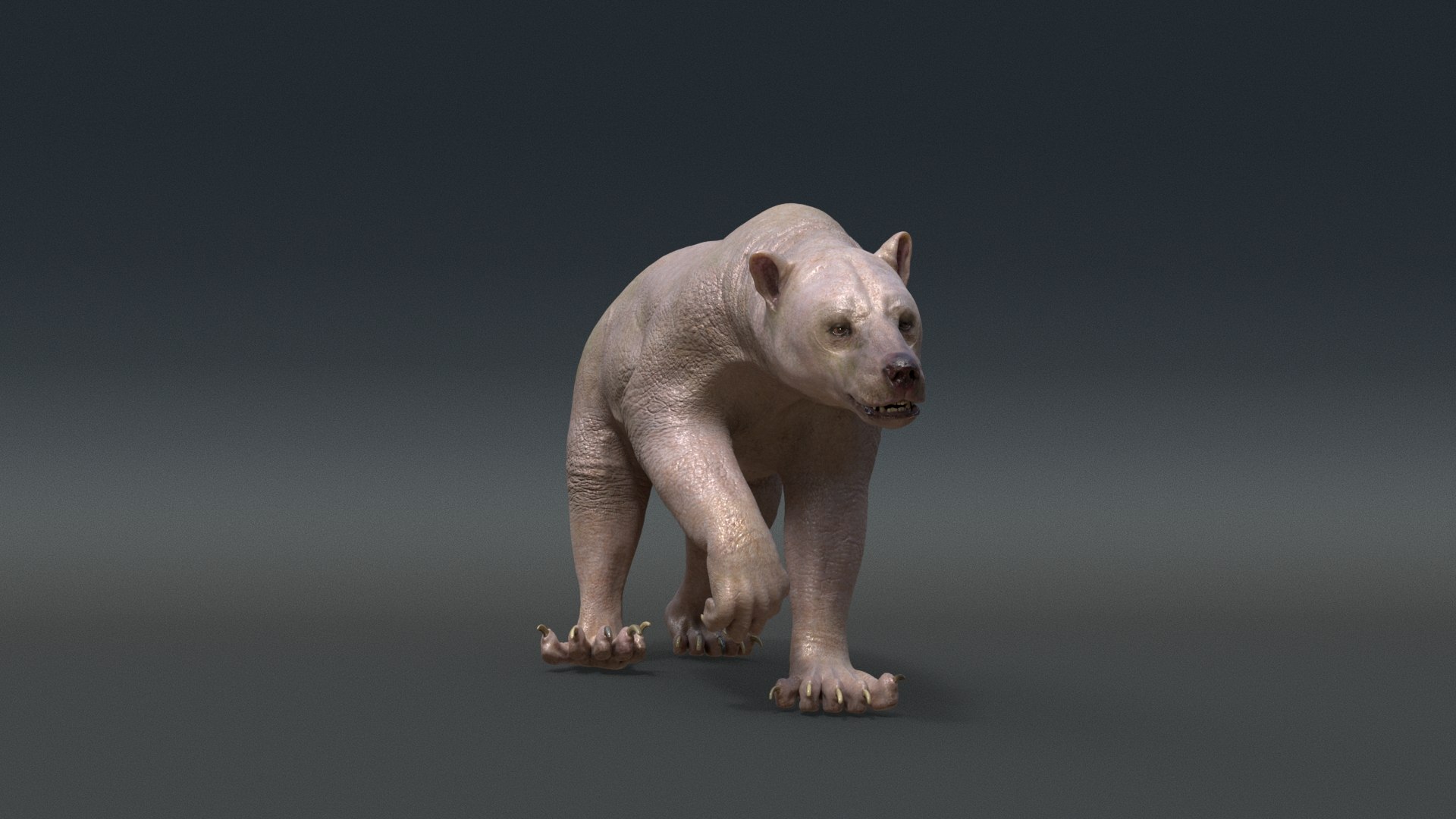 Bear Skin Rigged Houdini 3D Model - TurboSquid 1734452
