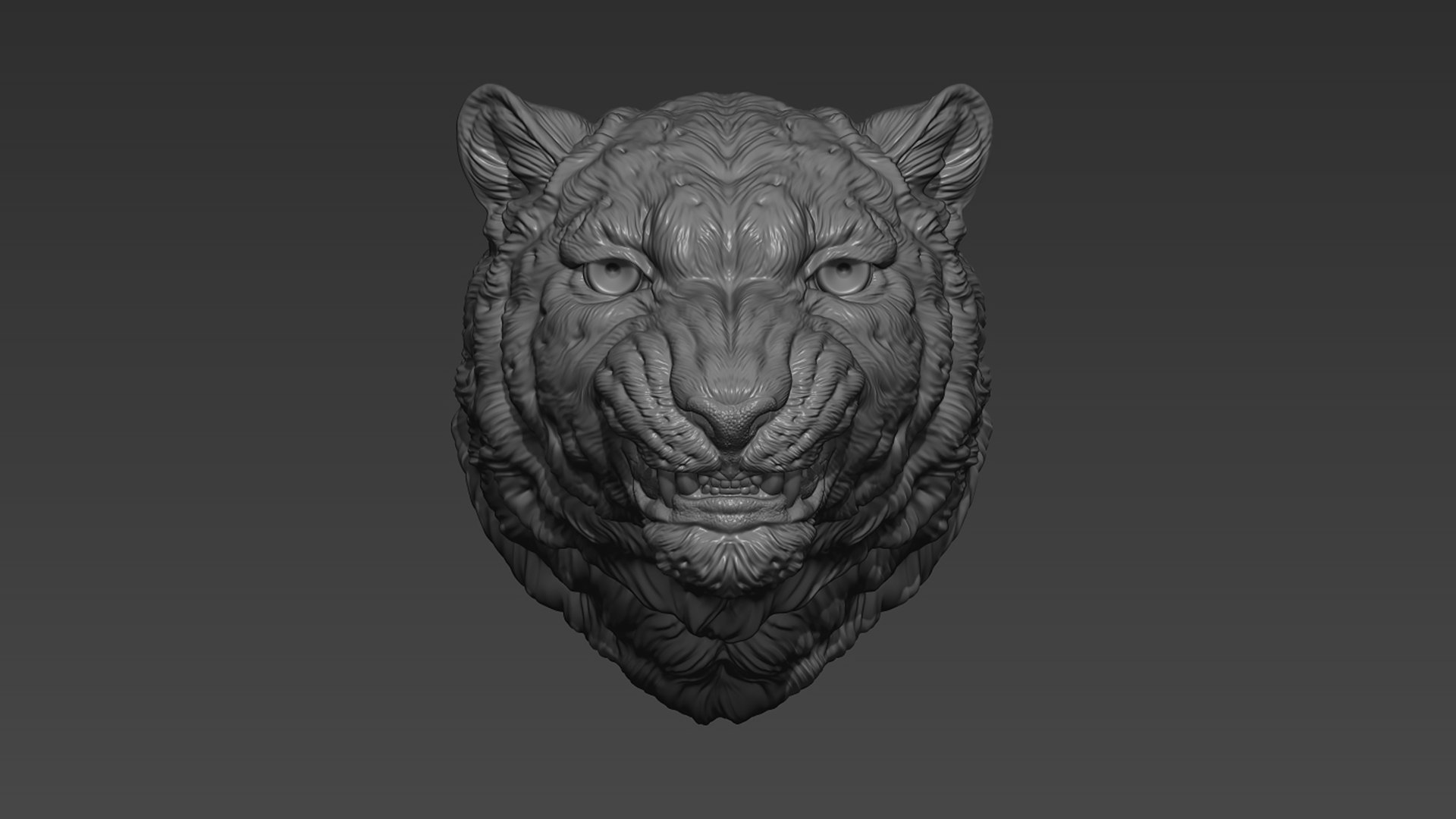 3D Snow leopard grin model - TurboSquid 1971662