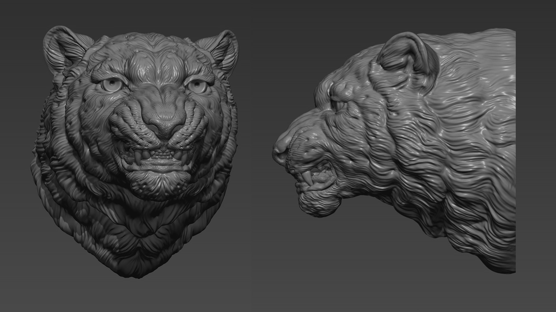 3D Snow leopard grin model - TurboSquid 1971662