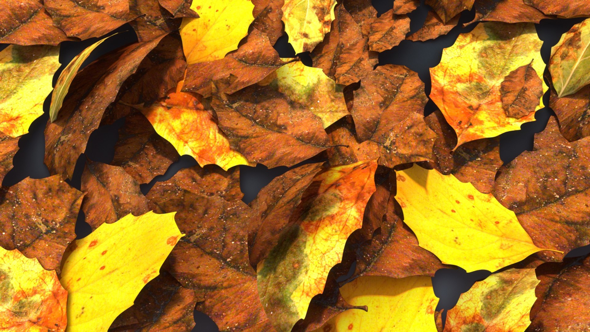 Plant Leaf Tree Leaves Obj