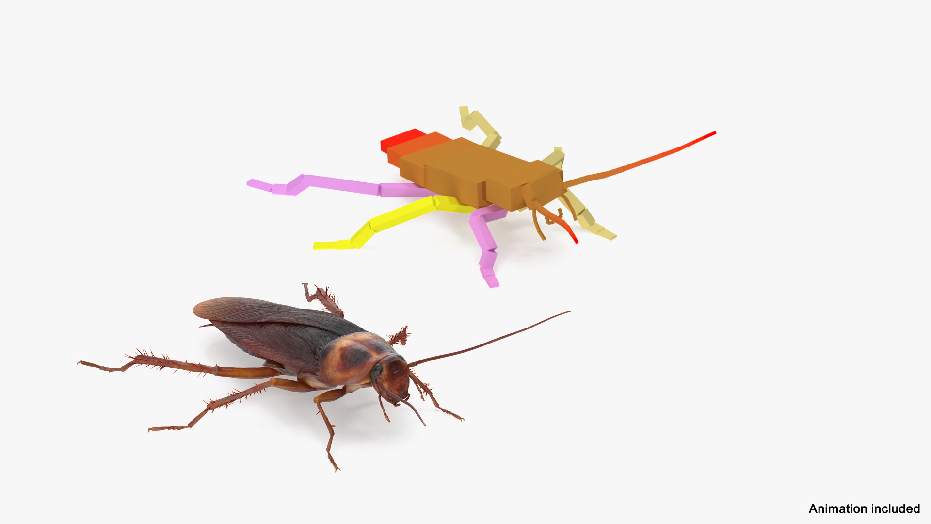 Cockroach Running Rigged Animation 3D Model - TurboSquid 1487214