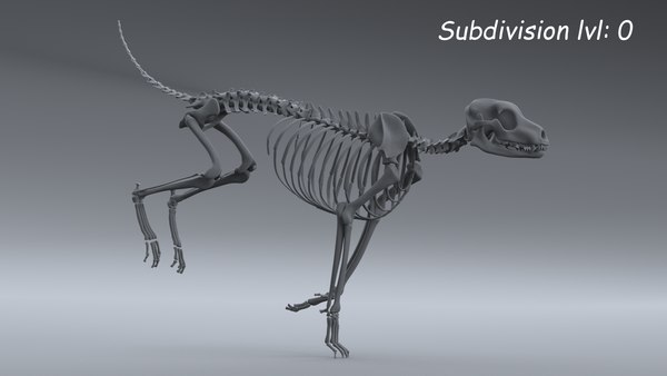 3D Dalmatian ANIMATED model - TurboSquid 1821050