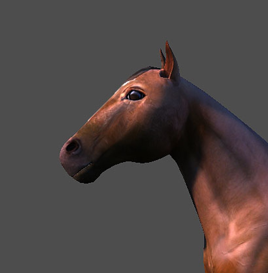 max horse animation