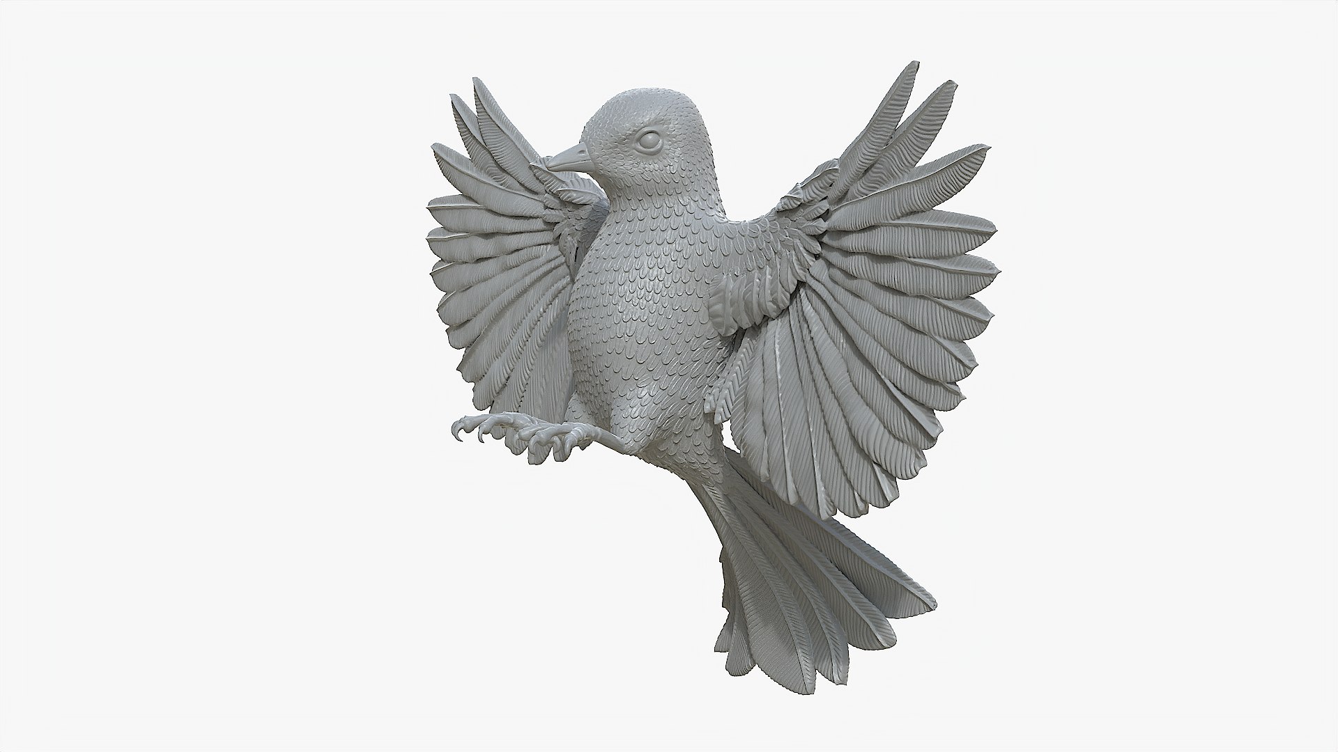 Sialia Mexicana 3D Model - TurboSquid 1919372