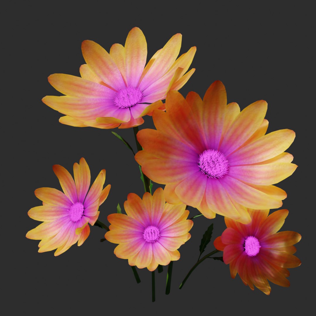 3D Daisyflower Flower Daisy - TurboSquid 1593971