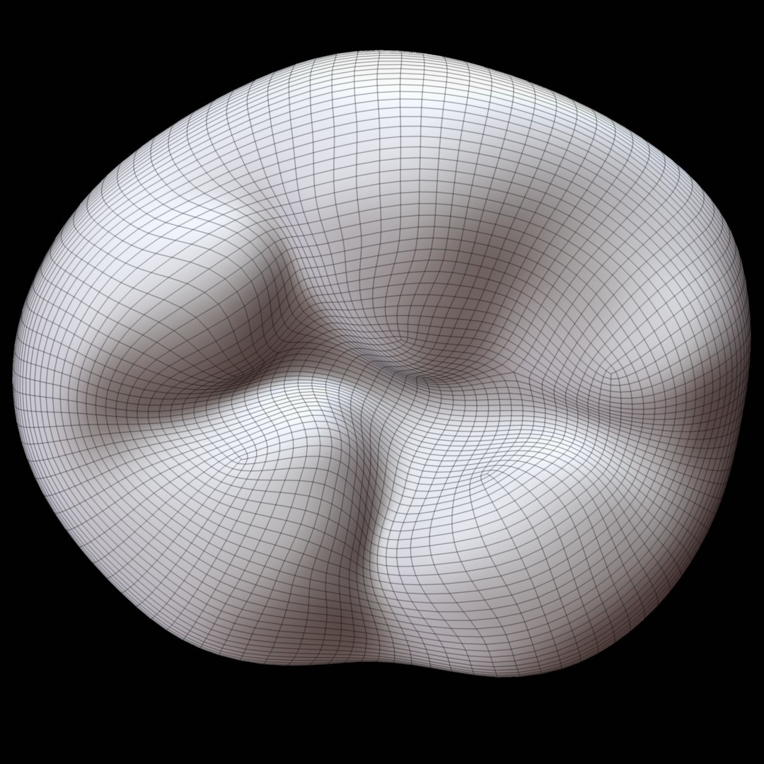 3d Model Tooth Molar