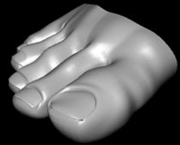 human toes 3d model