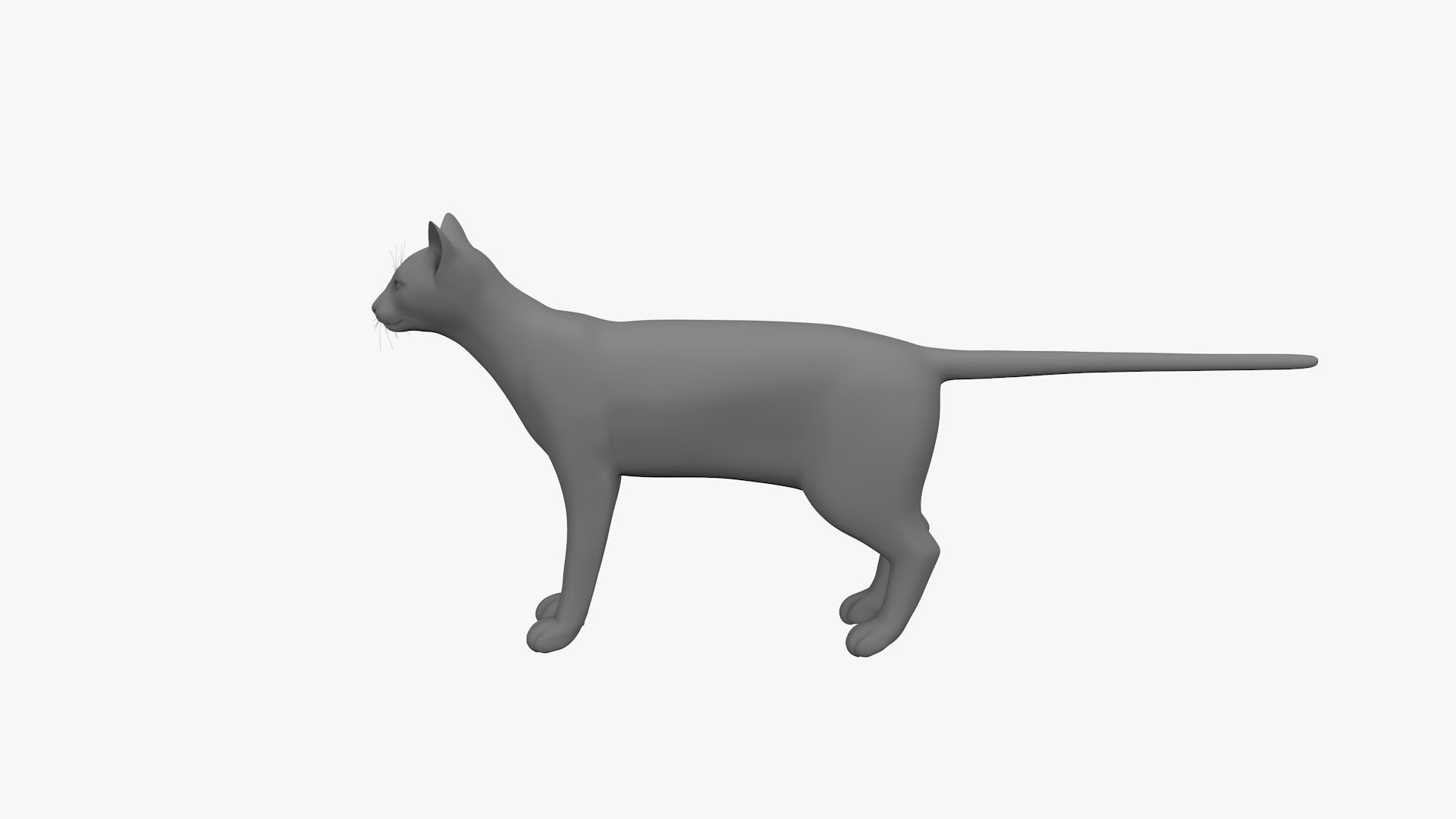 3D Model Oriental Cat - TurboSquid 2401242