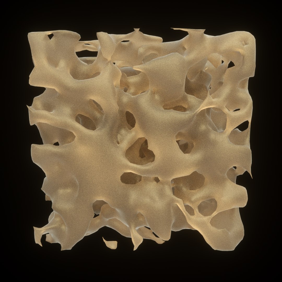 3D Sponge Bone Spongy - TurboSquid 1391324